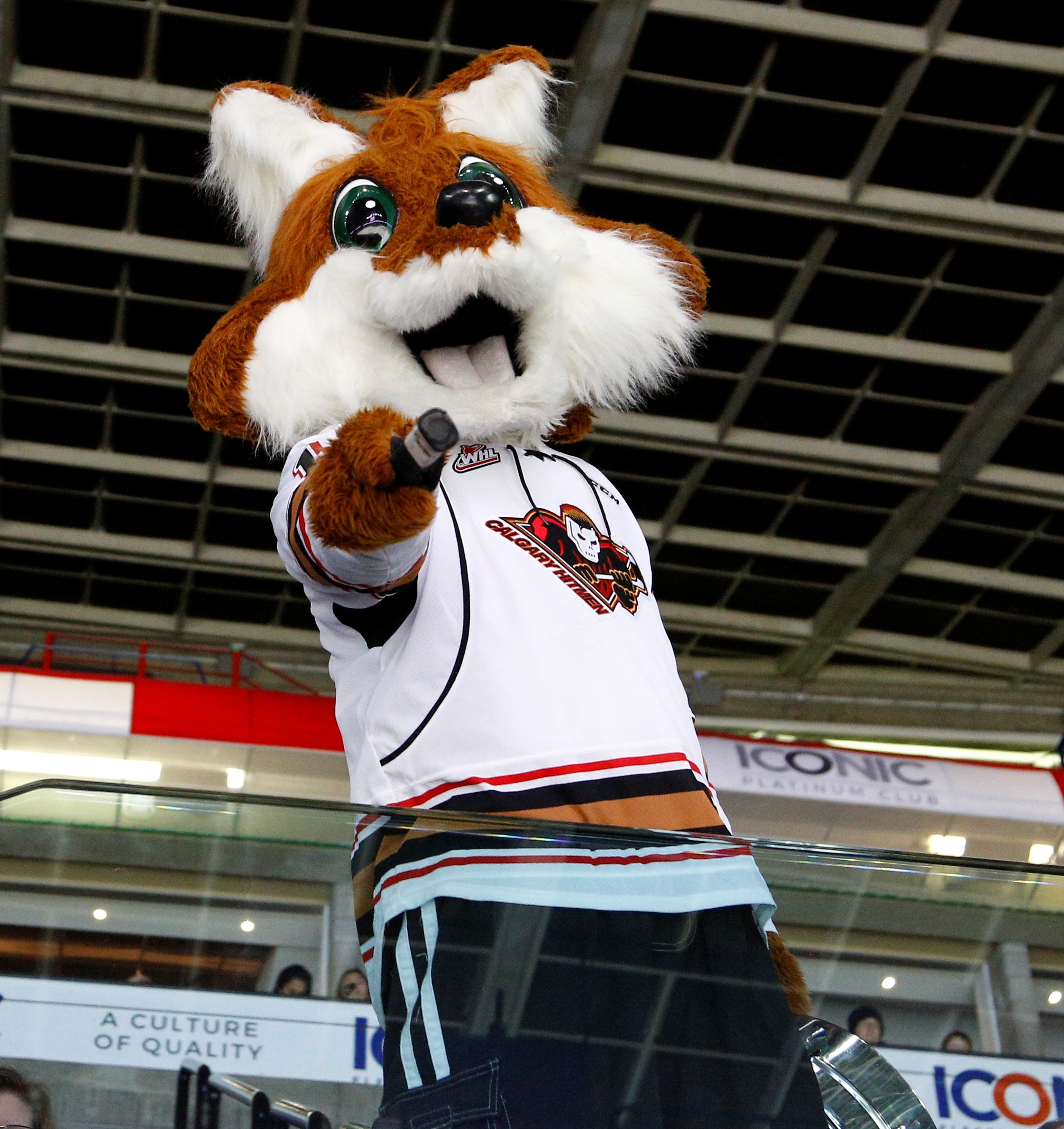 Farley The Fox - Calgary Hitmen