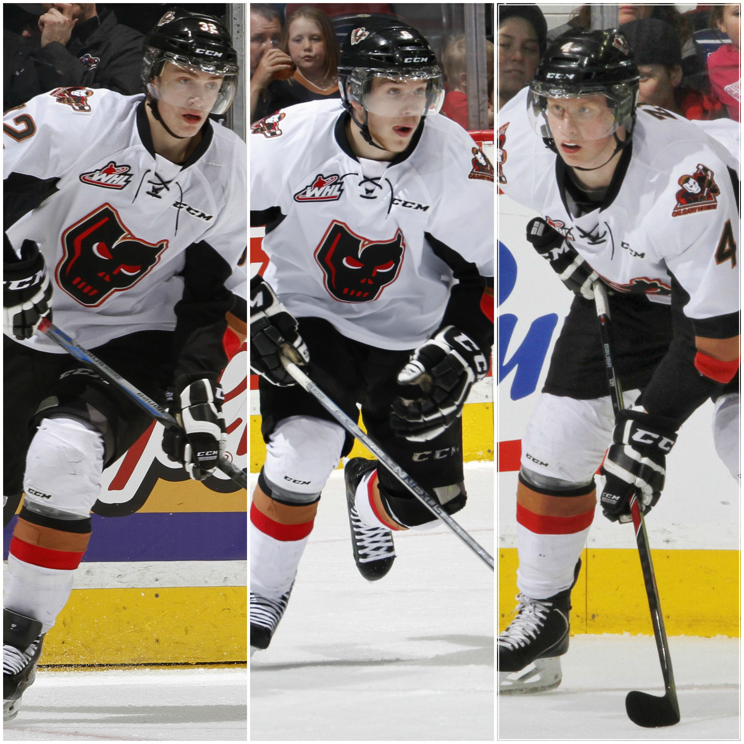 Hitmen name Colby Harmsworth Team Captain - Calgary Hitmen