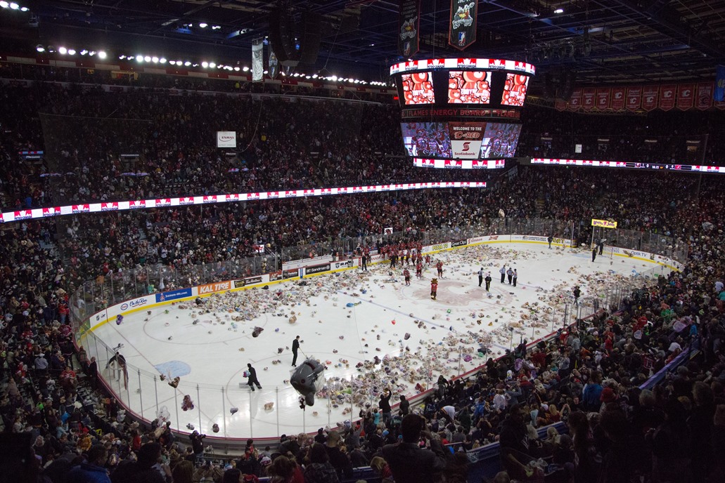 By The Numbers: Teddy Bear Edition - Calgary Hitmen