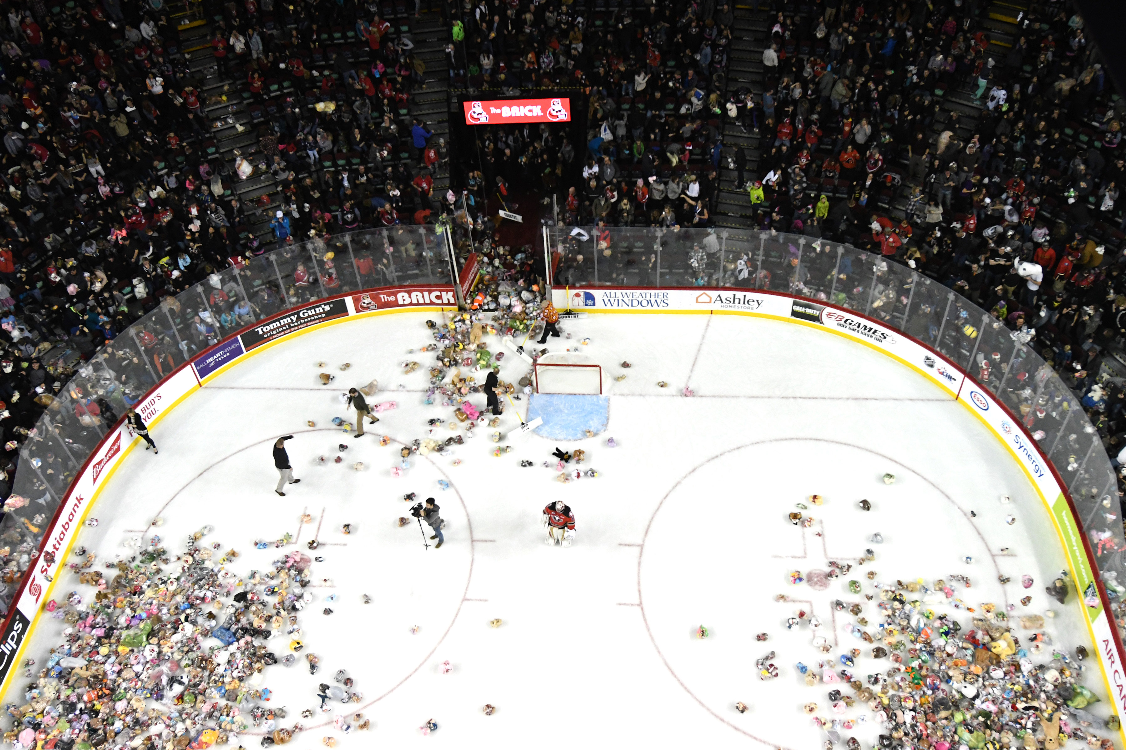 Photo Gallery: Hitmen Teddy Bear Toss - Western Hockey League