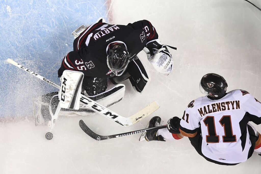 Hitmen add goaltender Martin to roster - Calgary Hitmen