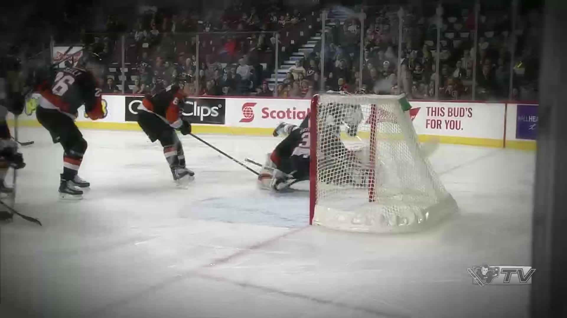 Sights & Sounds - Feb. 24 vs Tigers - Calgary Hitmen