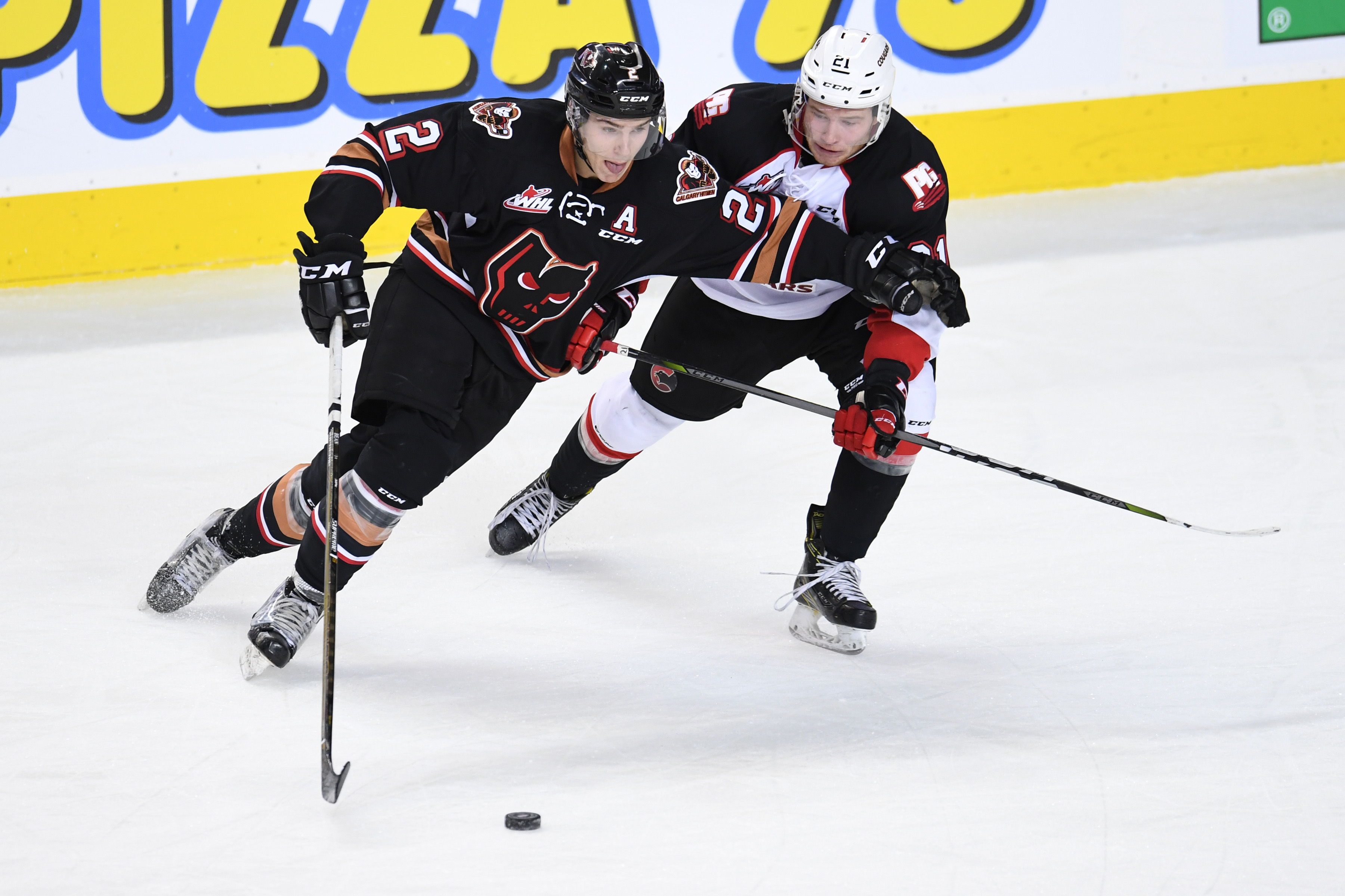 Photo Gallery: Hitmen vs Cougars - Calgary Hitmen