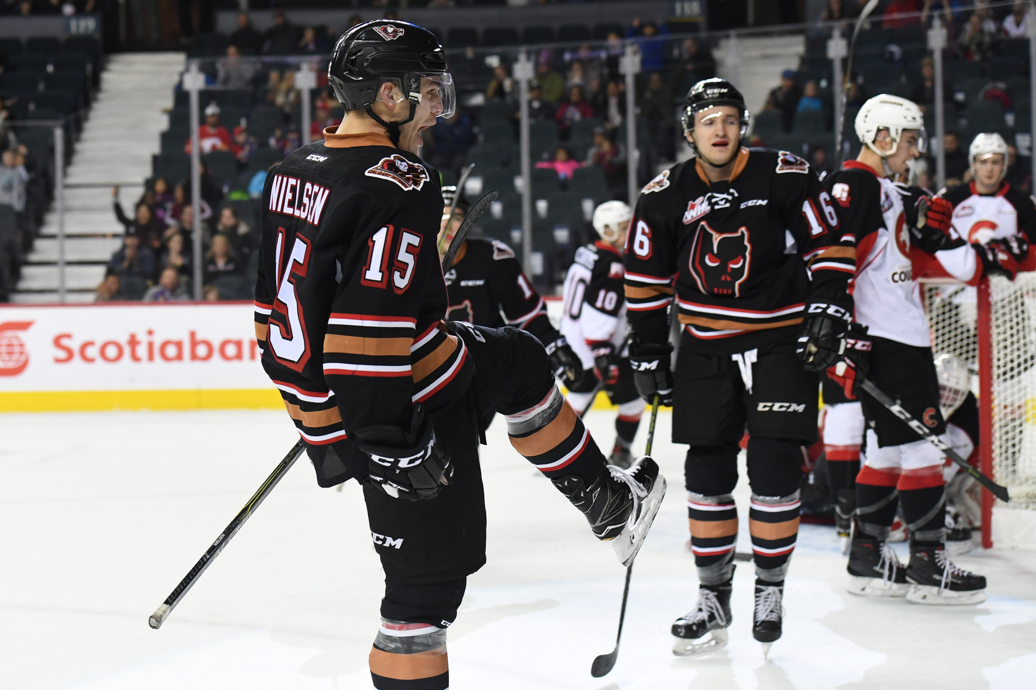 Photo Gallery: Hitmen vs Cougars - Calgary Hitmen