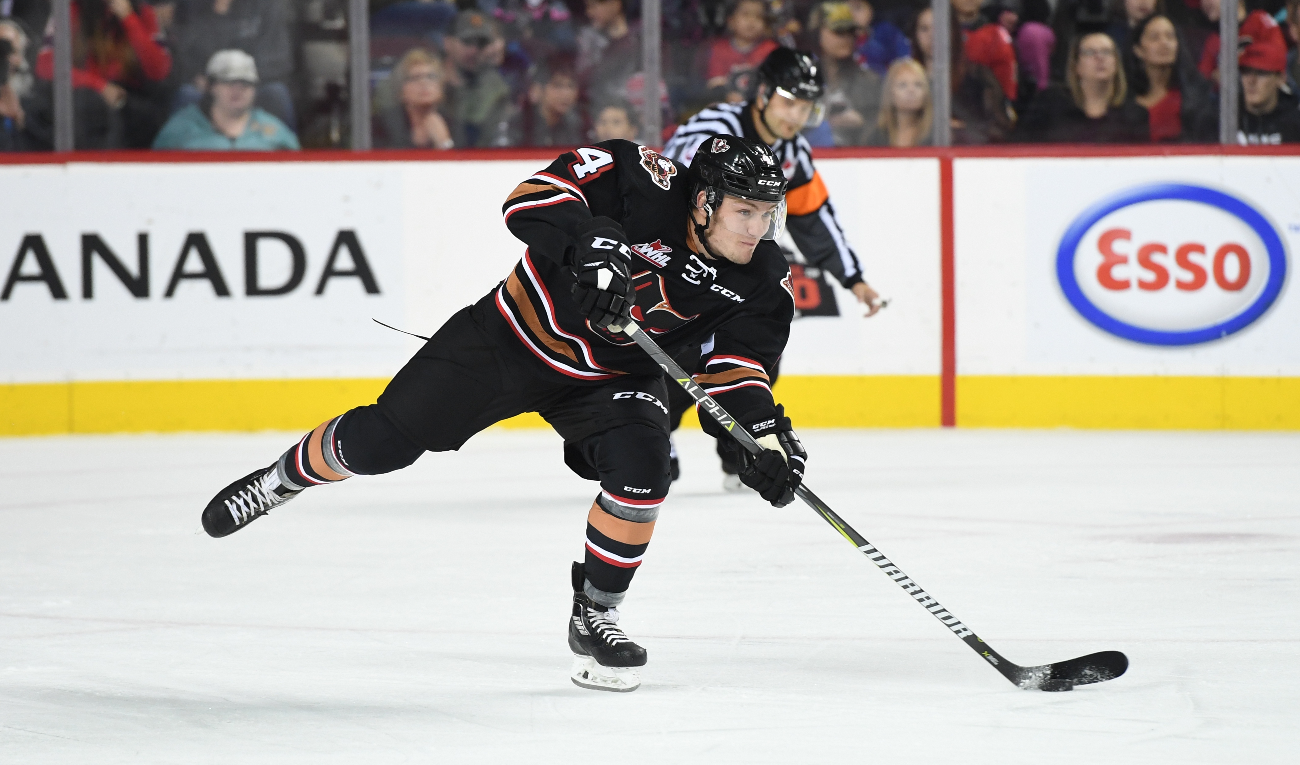 10 Questions: Layne Toder - Calgary Hitmen
