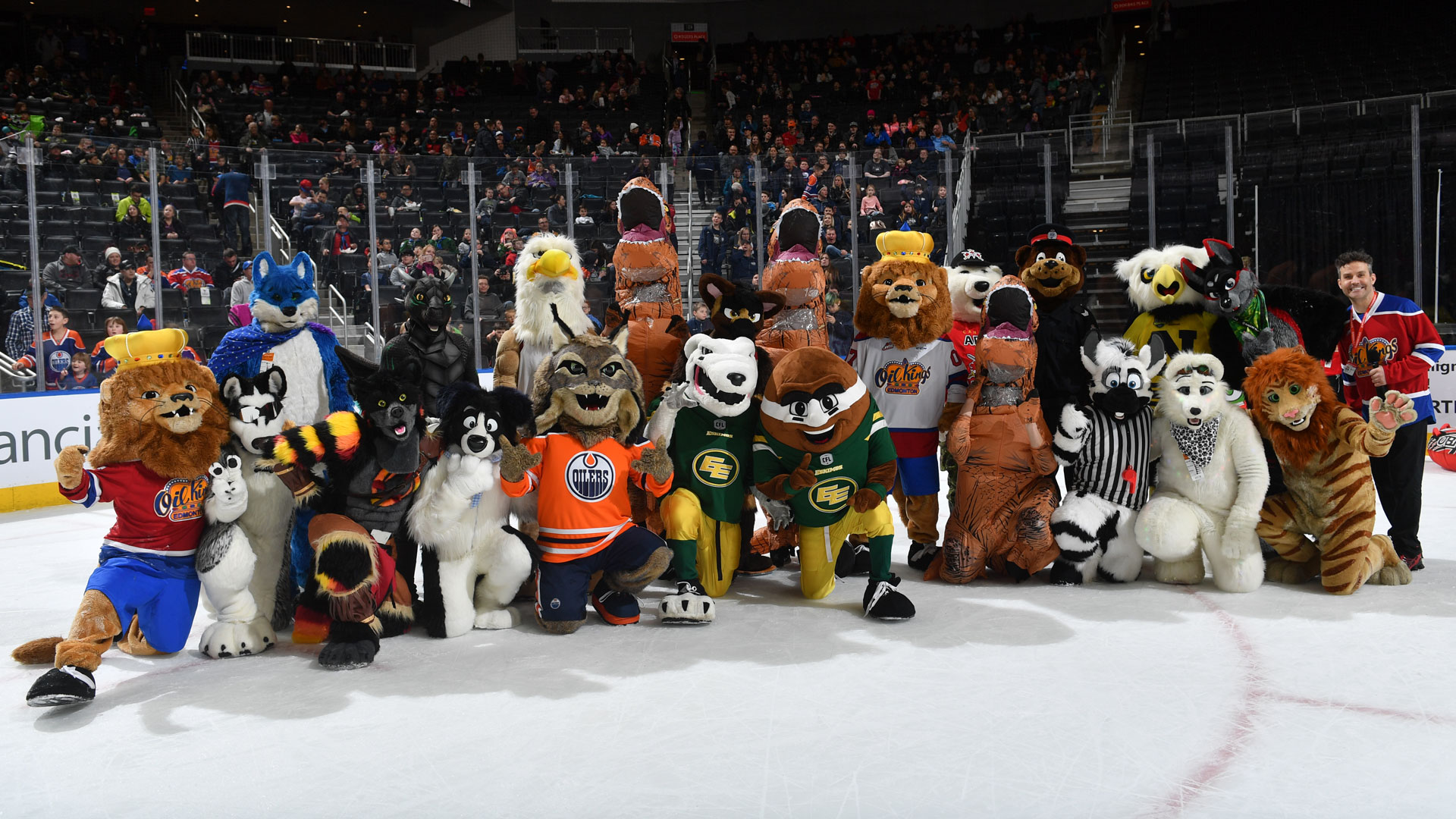 Mascot Race! - Edmonton Oil Kings