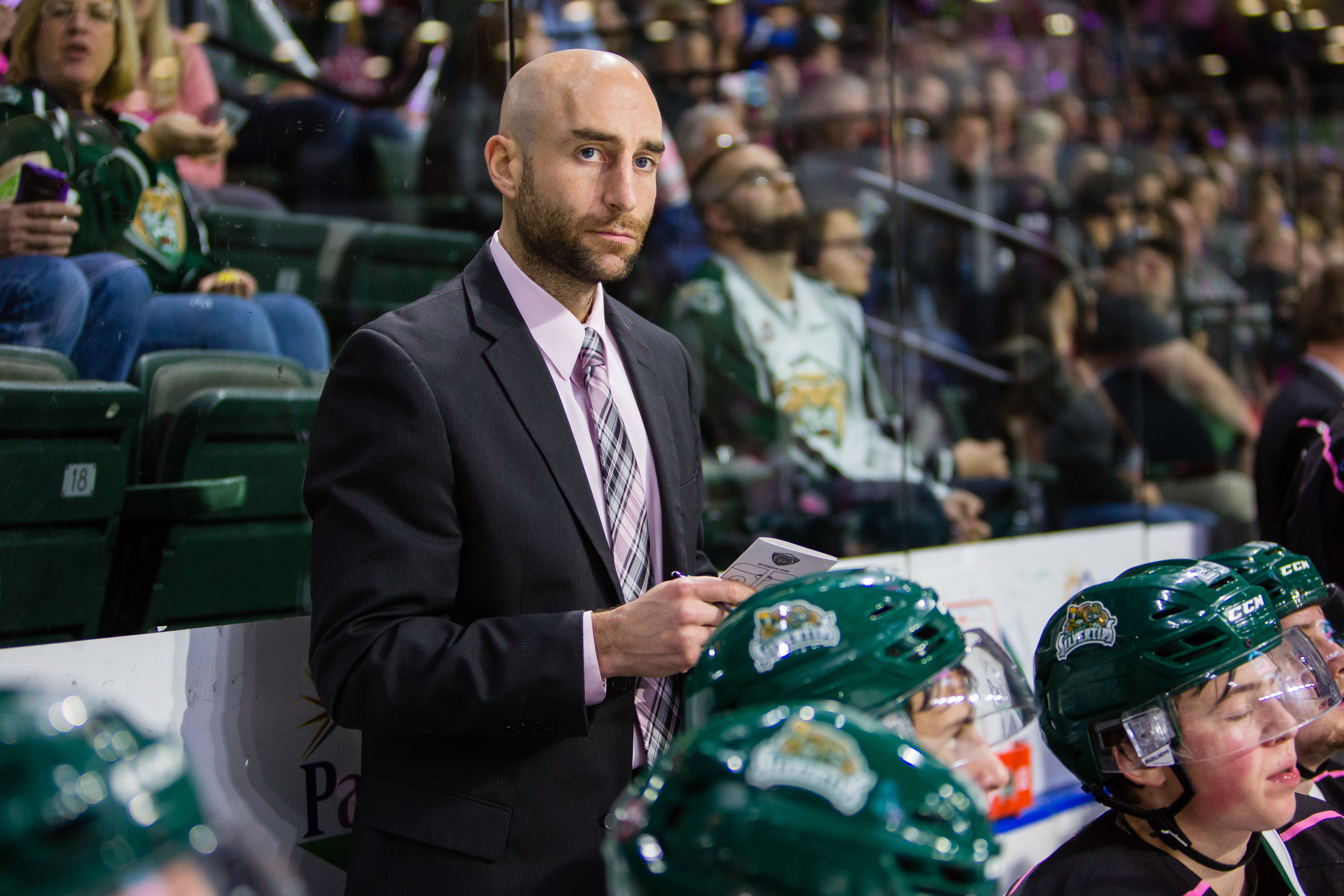 TBT » Mitch Love Gallery - Everett Silvertips
