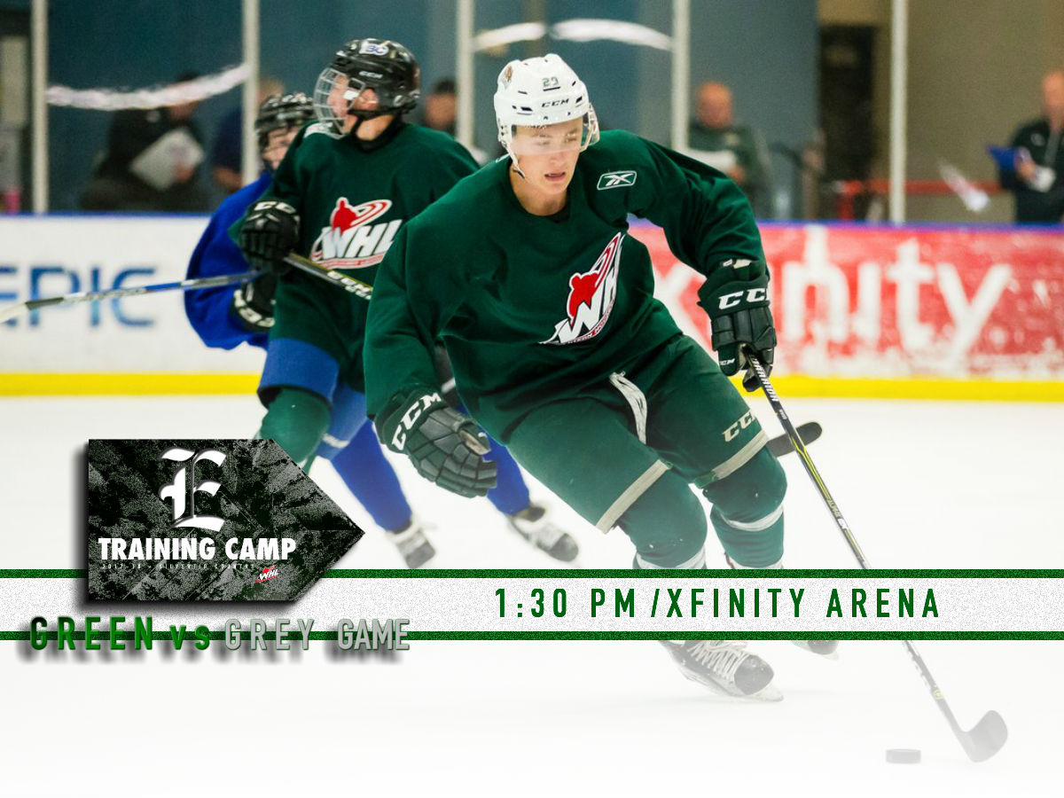 Green vs Grey, Today. - Everett Silvertips
