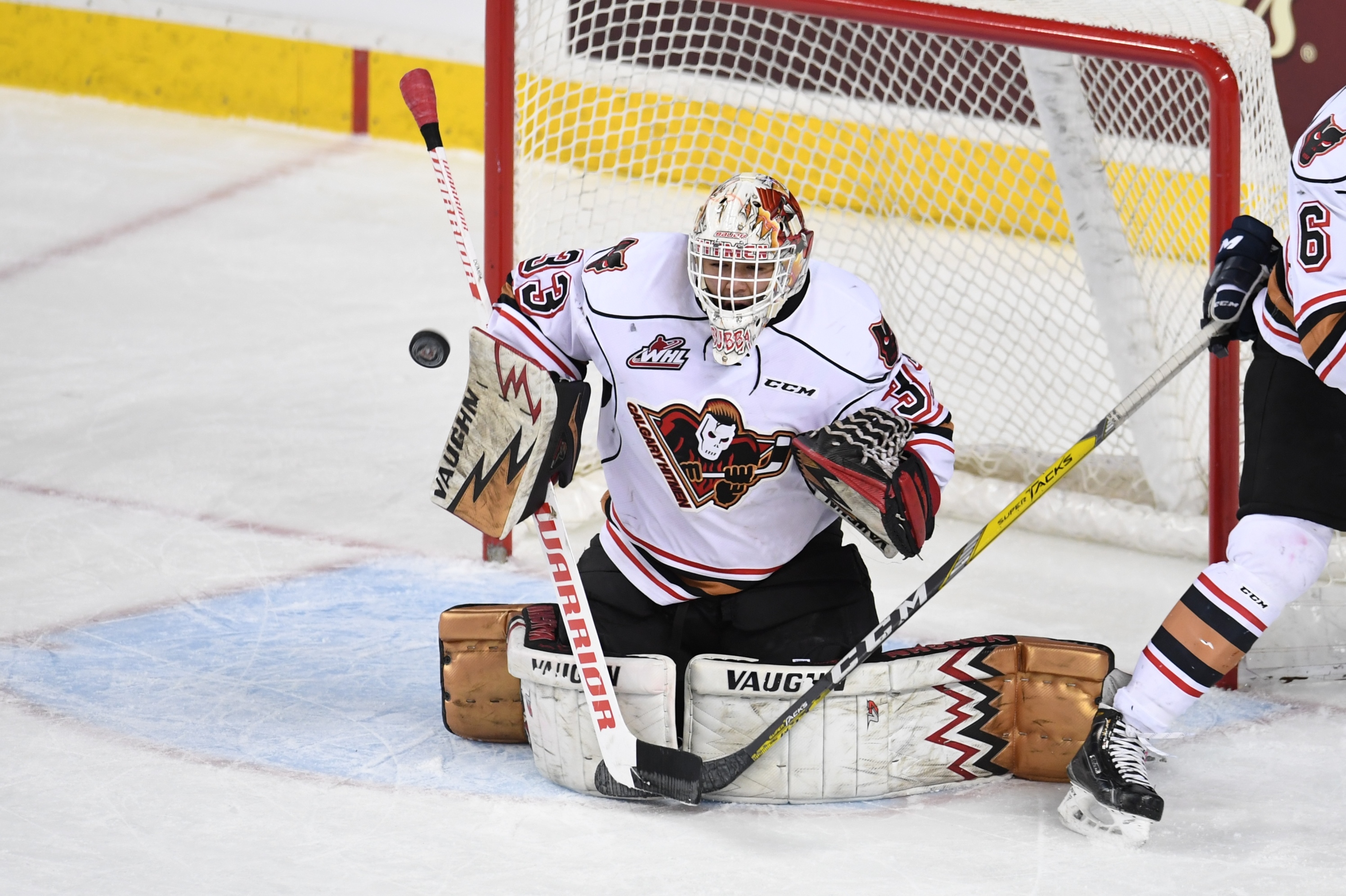 BLAZERS ACQUIRE GOALTENDER KYLE DUMBA - Kamloops Blazers