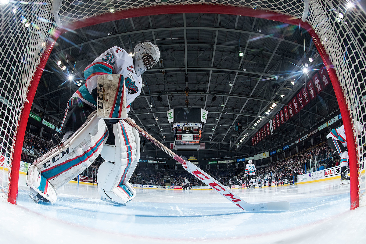 Herringer Set to Carry Workload - Kelowna Rockets