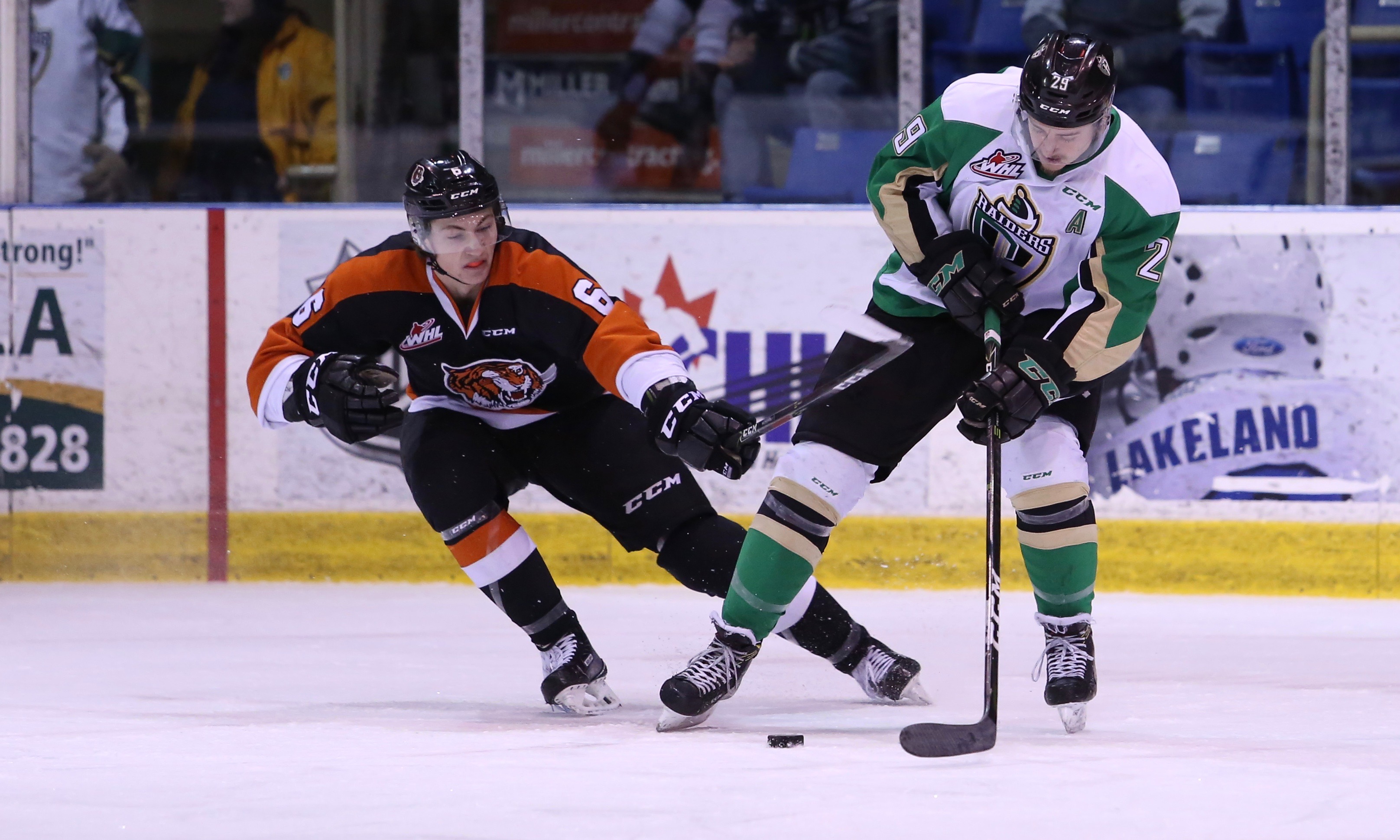 Raiders Clipped By Tigers In Overtime - Prince Albert Raiders