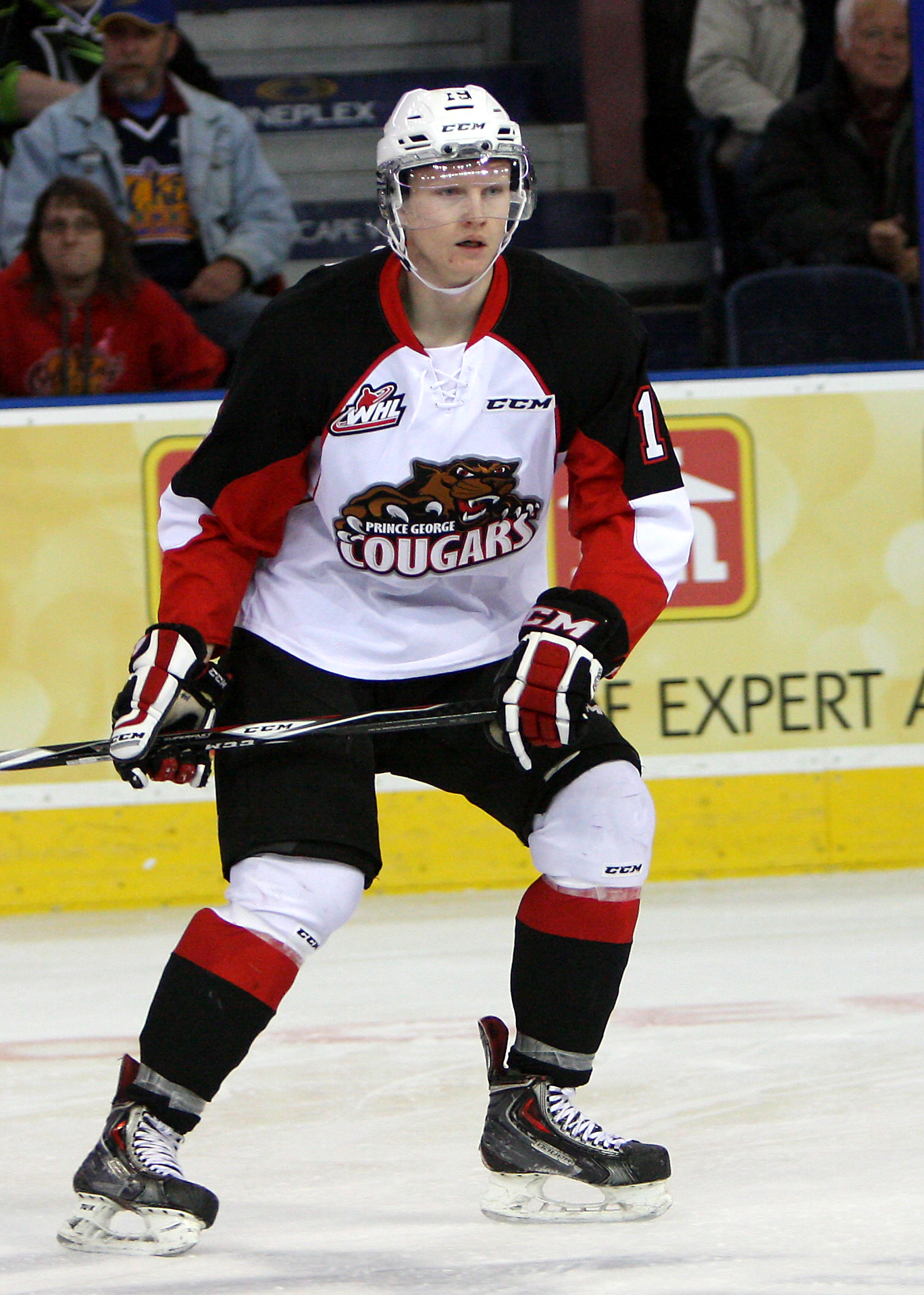 Shane Collins - Prince George Cougars