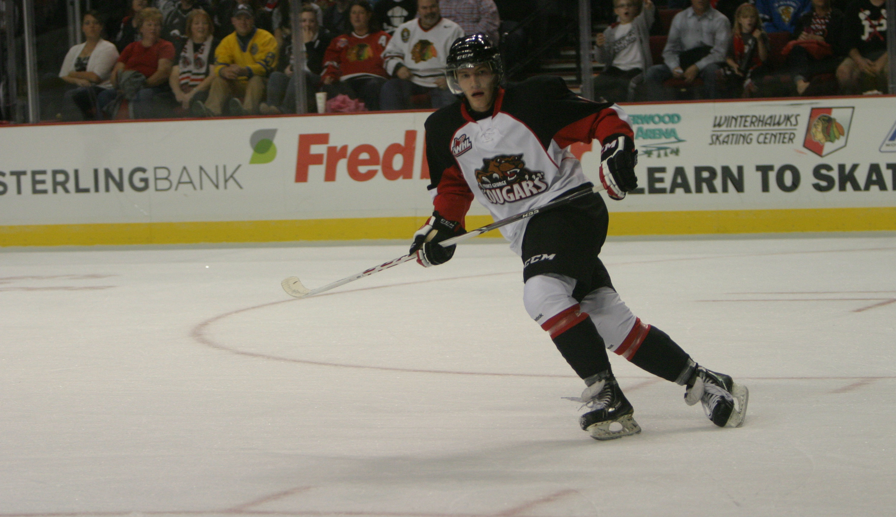 David Soltes - Prince George Cougars