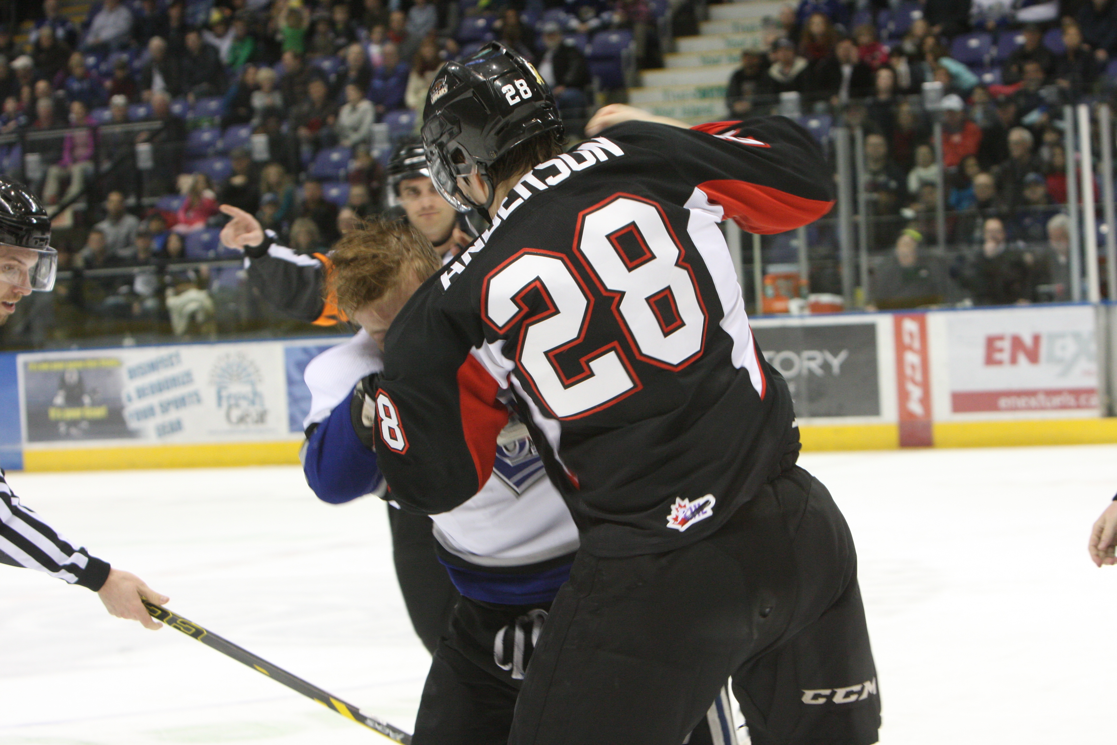 Josh Anderson - Prince George Cougars