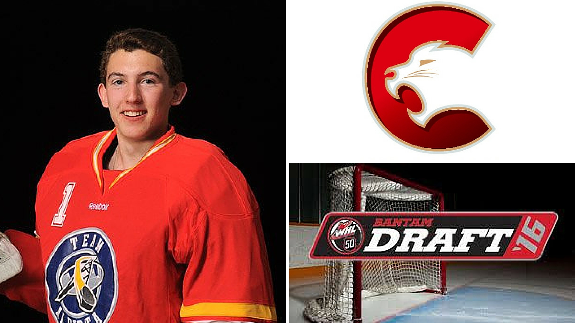 TAYLOR GAUTHIER AUDIO - Prince George Cougars