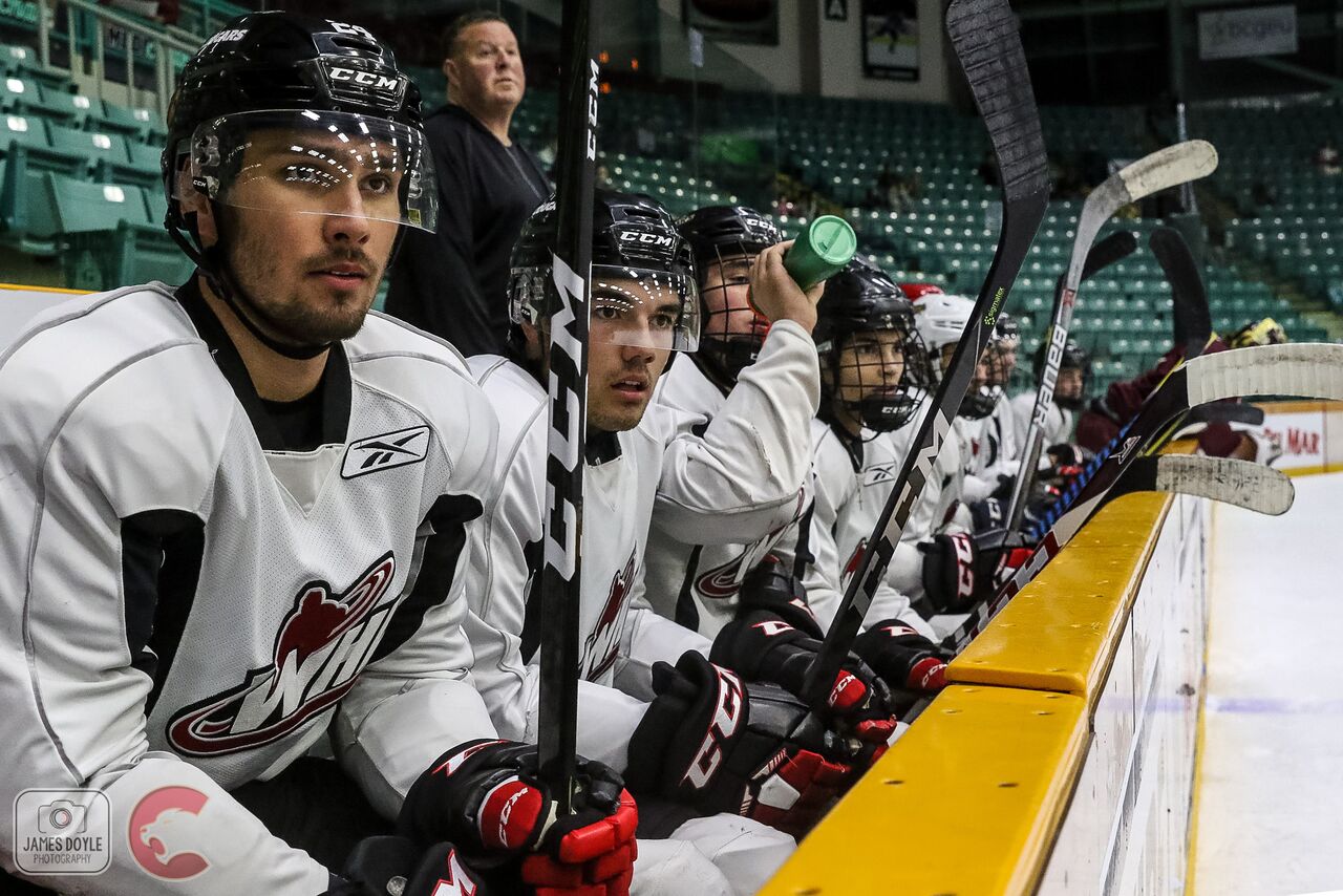 Training Camp Recap: Day 2 - Prince George Cougars