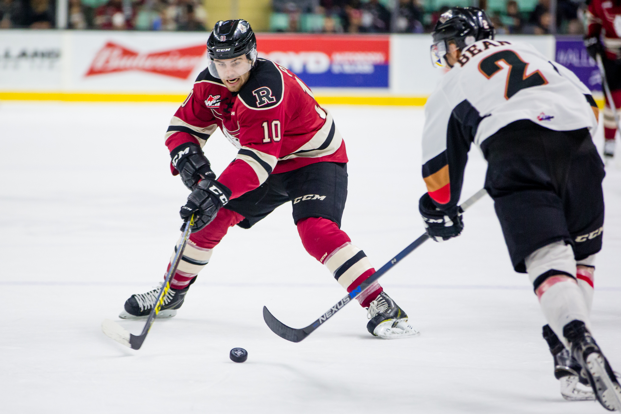 Season Continues For Long List Of Rebels - Red Deer Rebels