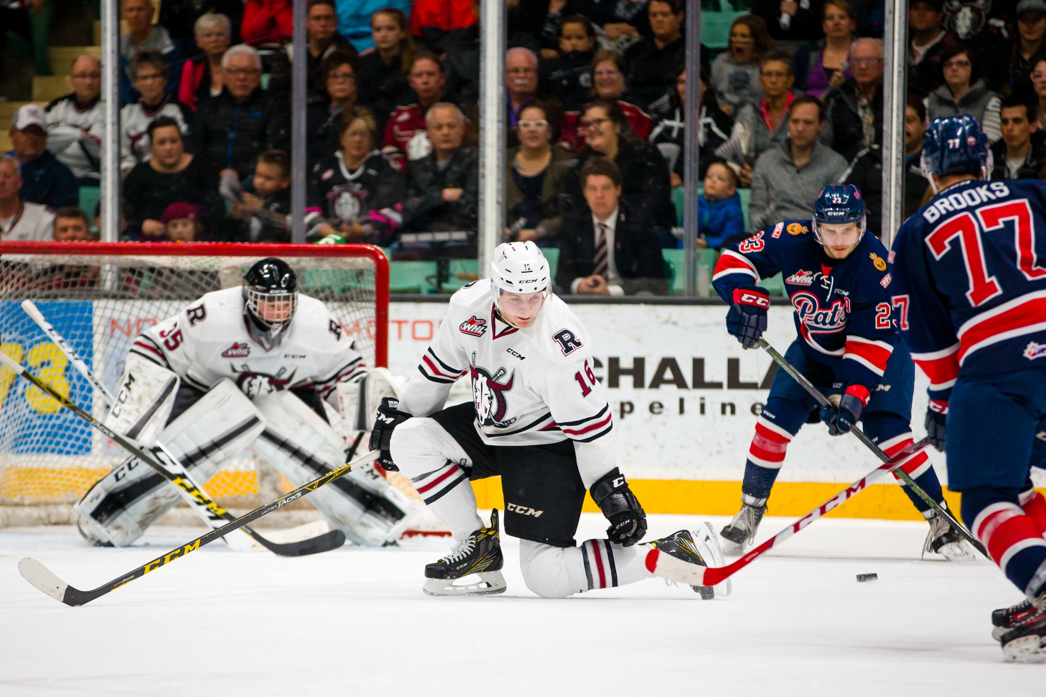 Sutter Excited About New-Look Rebels - Red Deer Rebels