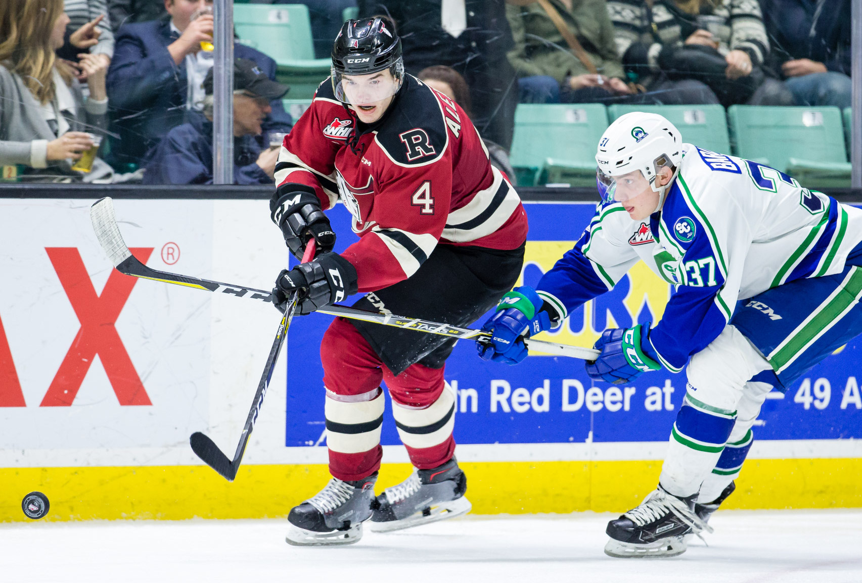 Rebels rearguard Alexeyev has plenty on his plate - Red Deer Rebels