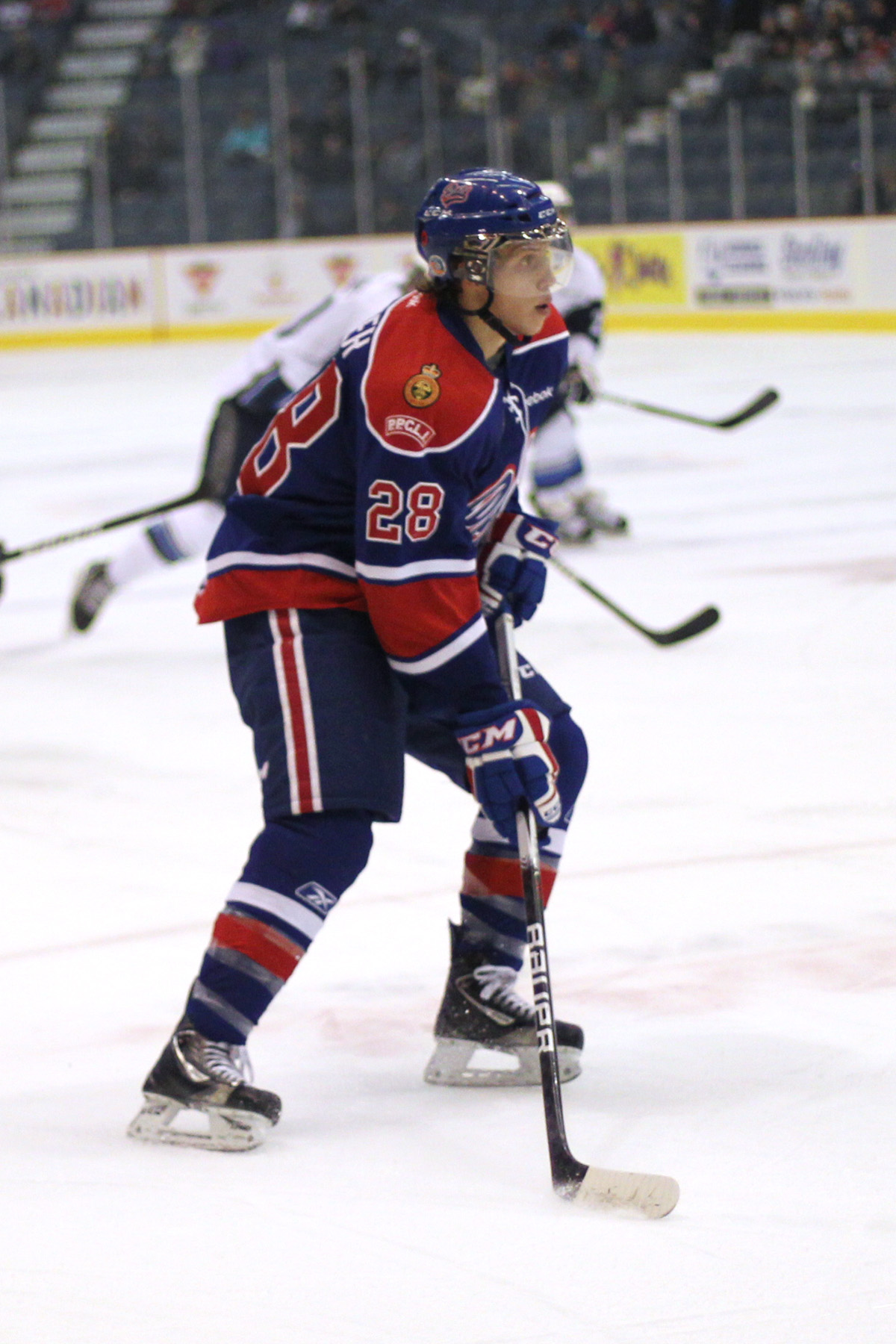 Pats Resolve Overage Player Numbers - Regina Pats