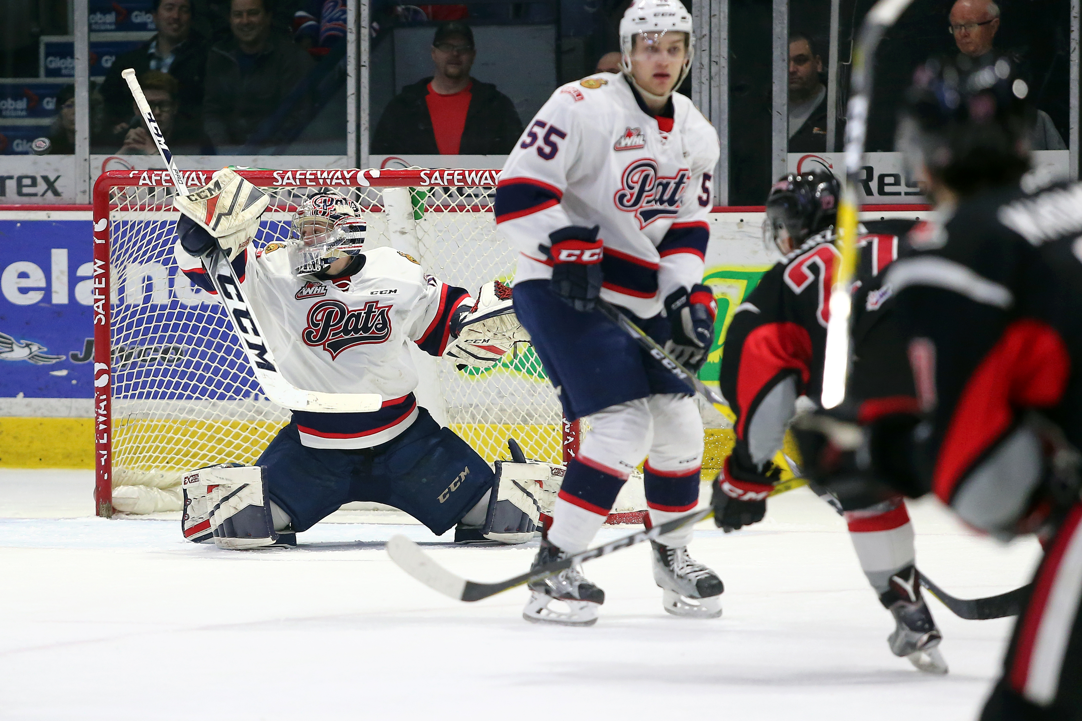 Tyler Brown Named WHL Goalie of the Week - Regina Pats