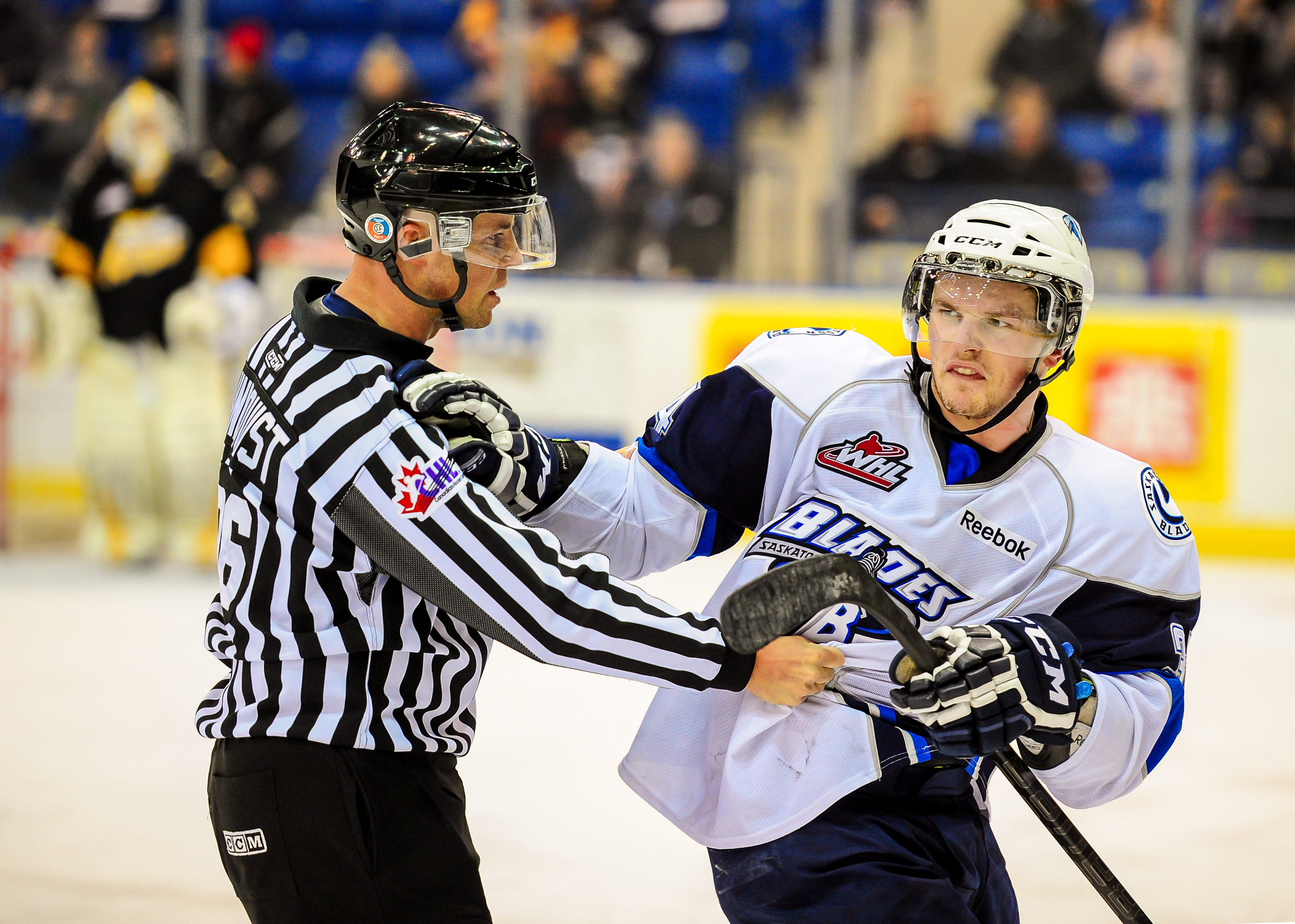 Sanvido Goodbye - Saskatoon Blades