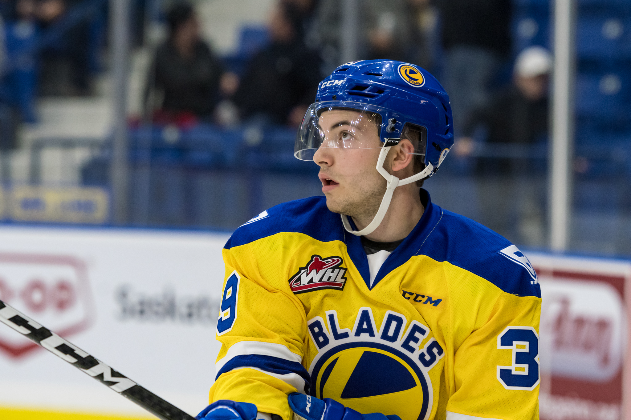 Fantillo announces retirement - Saskatoon Blades