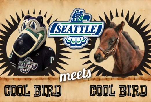 Cool Bird Meets Cool Bird - Seattle Thunderbirds