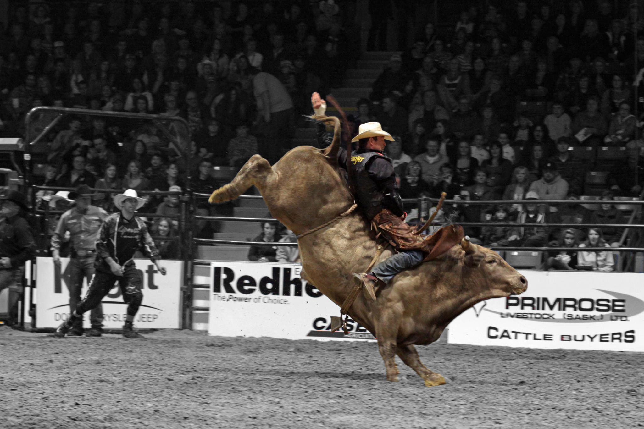 PBR Winning 50-50 Ticket Number - Swift Current Broncos