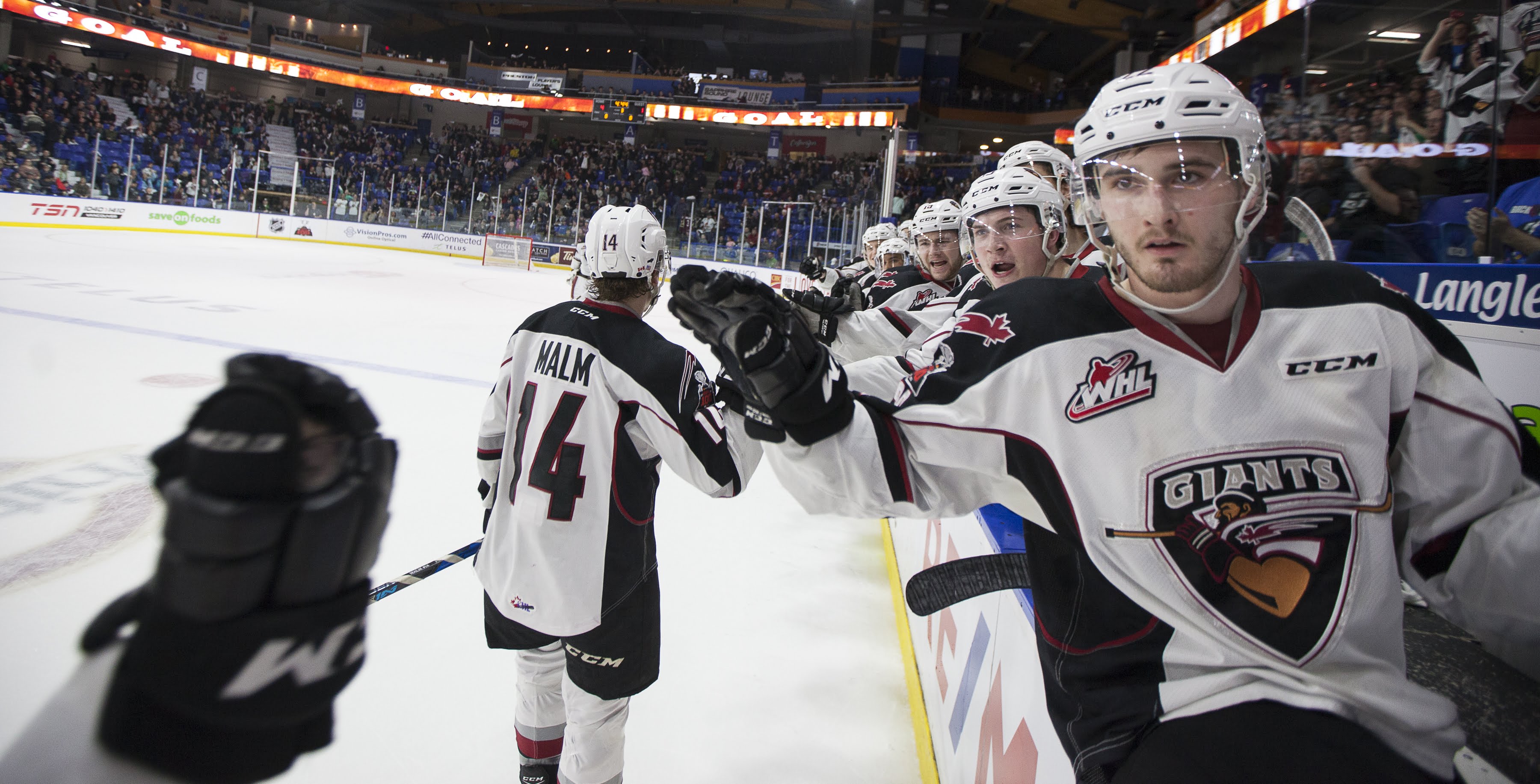 32 Players Remain With the Vancouver Giants After Training Camp