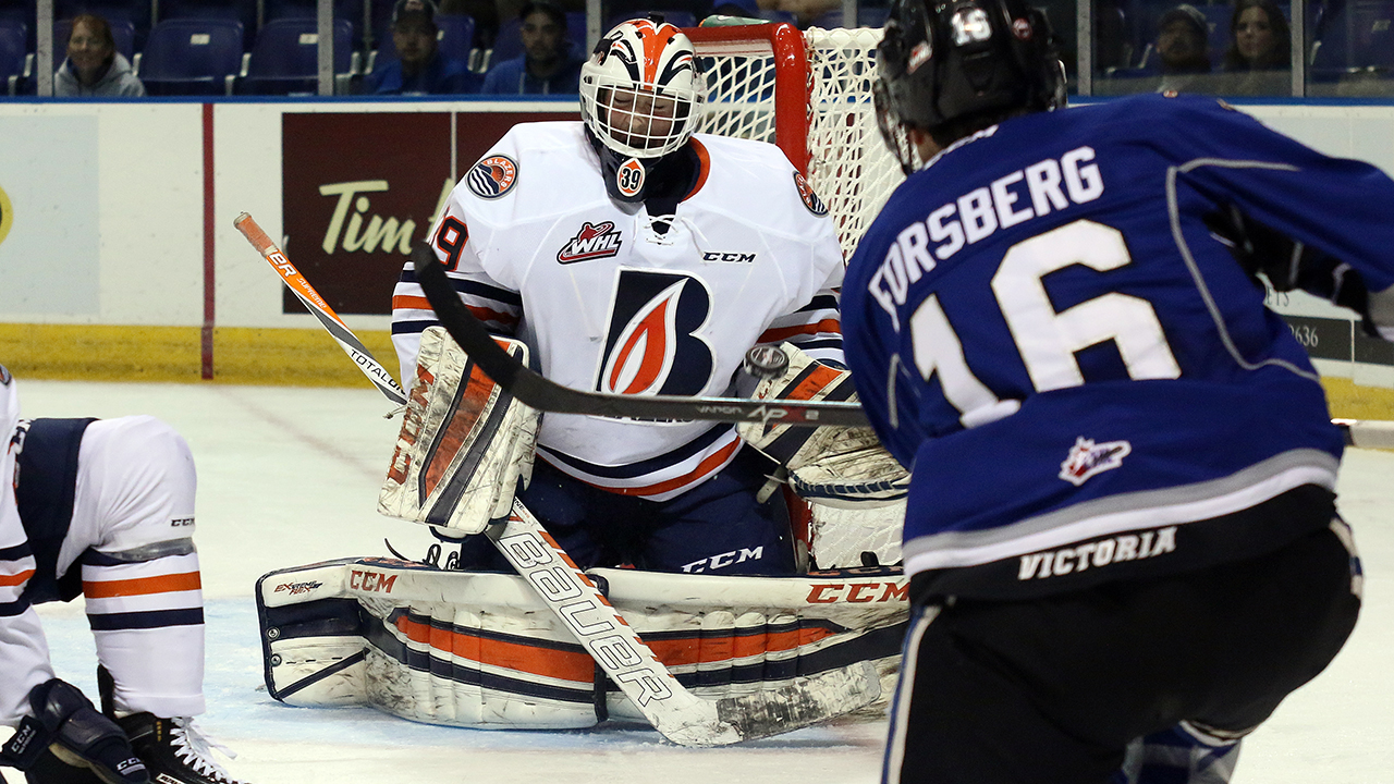 NEAL'S NOTES: ROYALS BACK HOME TO FACE BLAZERS - Victoria Royals