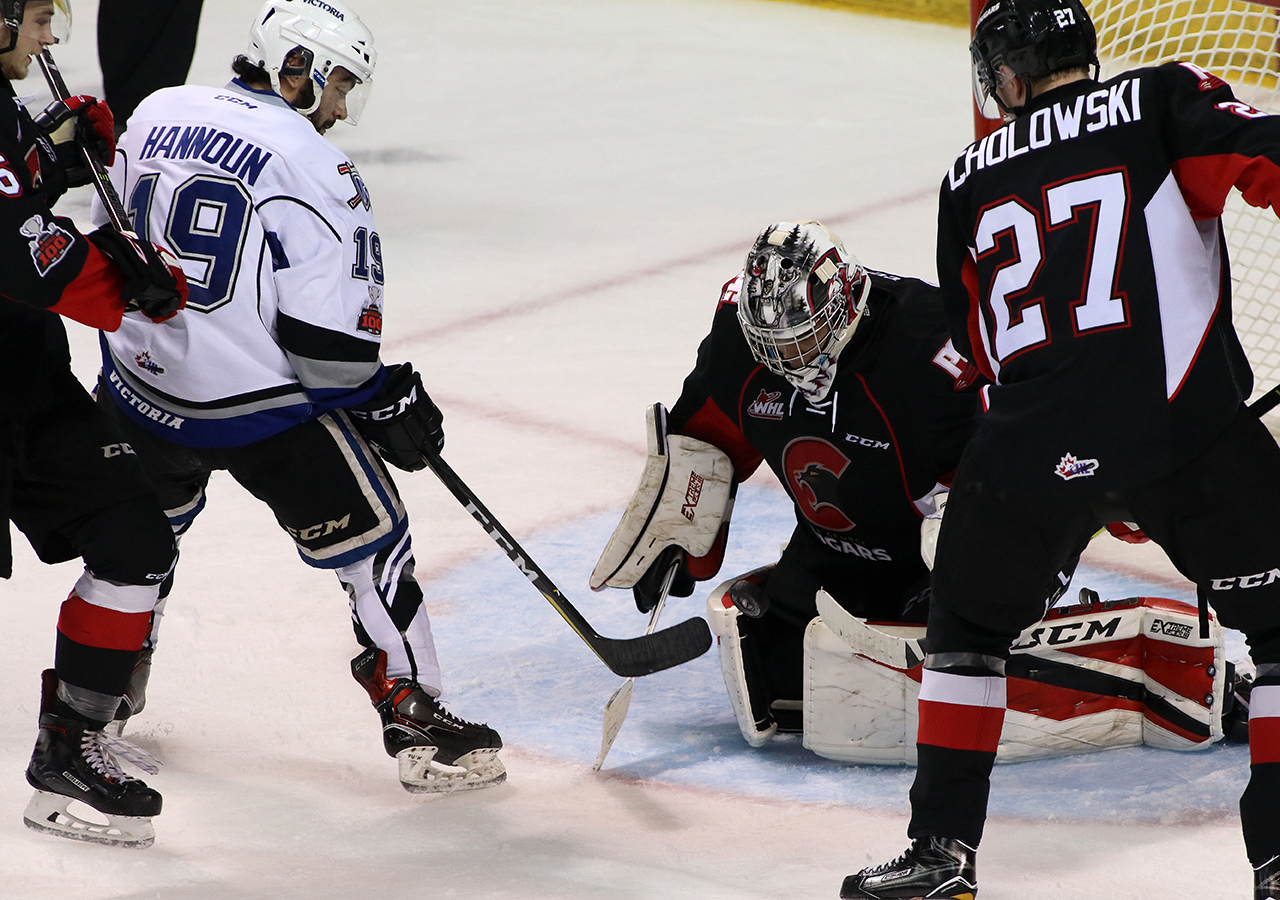 ROYALS DOWNED BY COUGARS - Victoria Royals