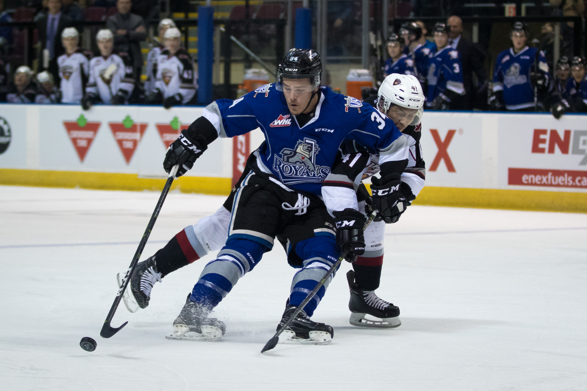 Game Galleries – Victoria vs. Vancouver – Oct 13/18 - Victoria Royals