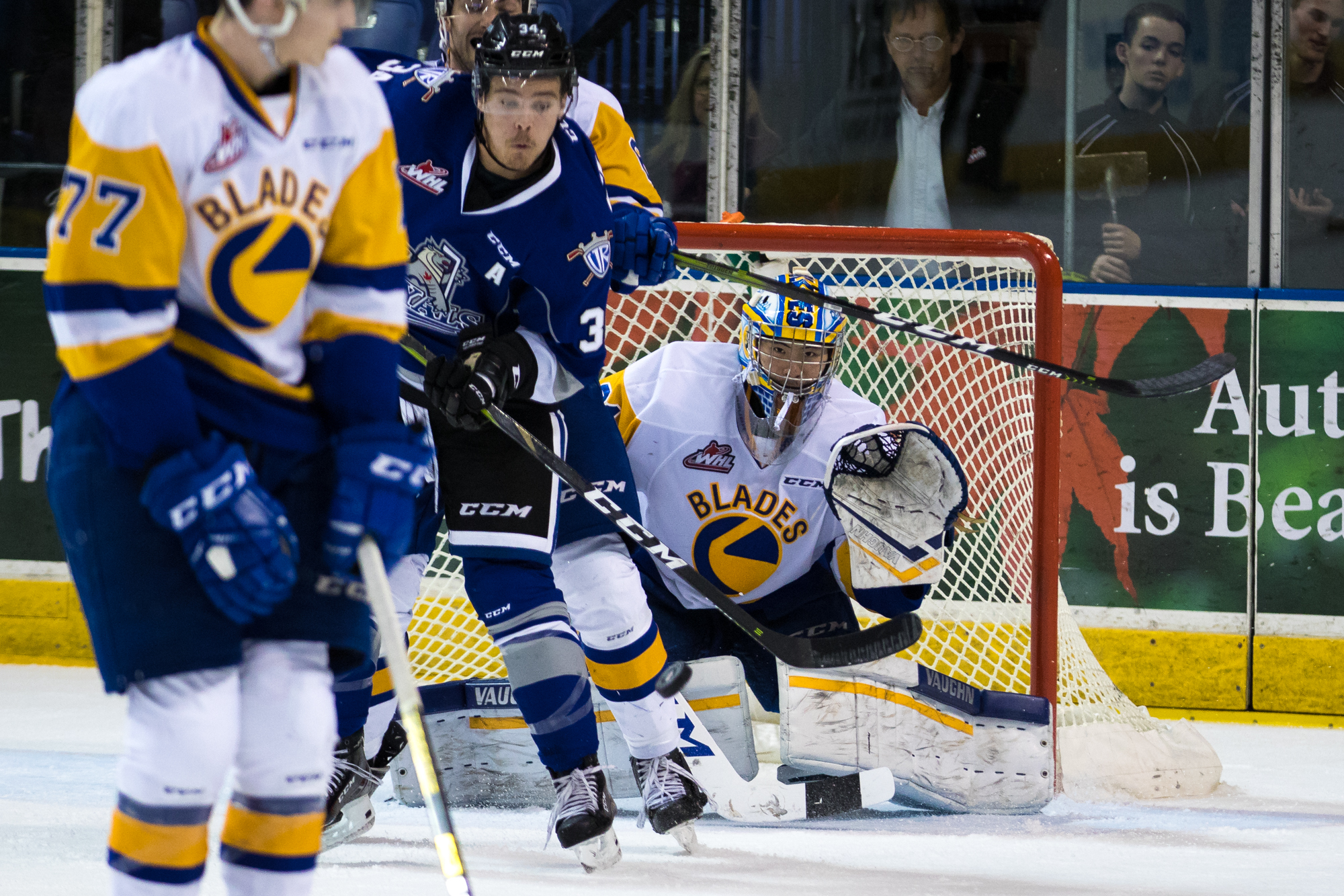 Game Galleries – Victoria vs. Saskatoon – Nov 28/18 - Victoria Royals