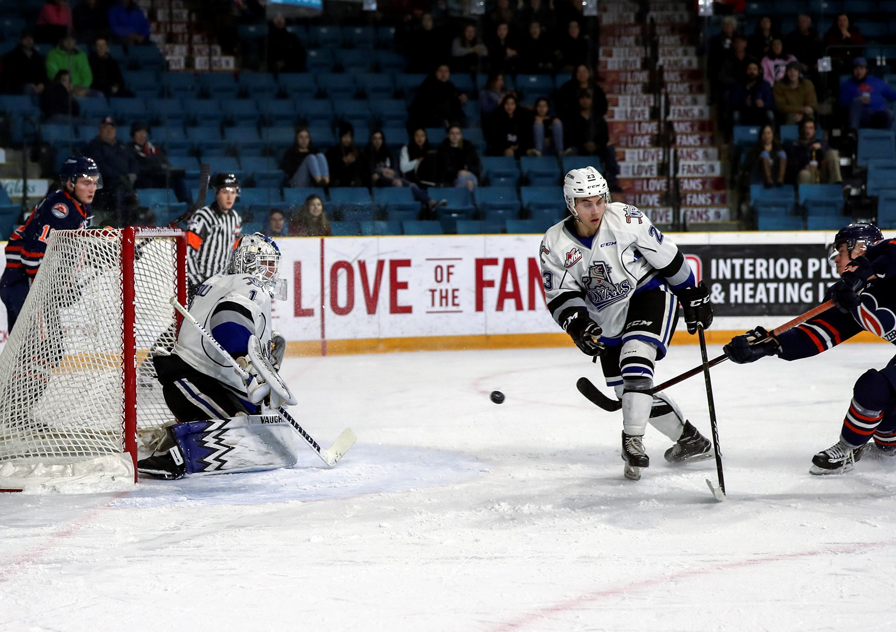ROYALS THWARTED BY BLAZERS - Victoria Royals