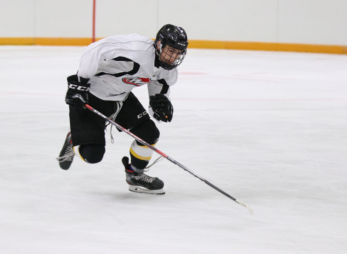 Watkins made big strides - Brandon Wheat Kings