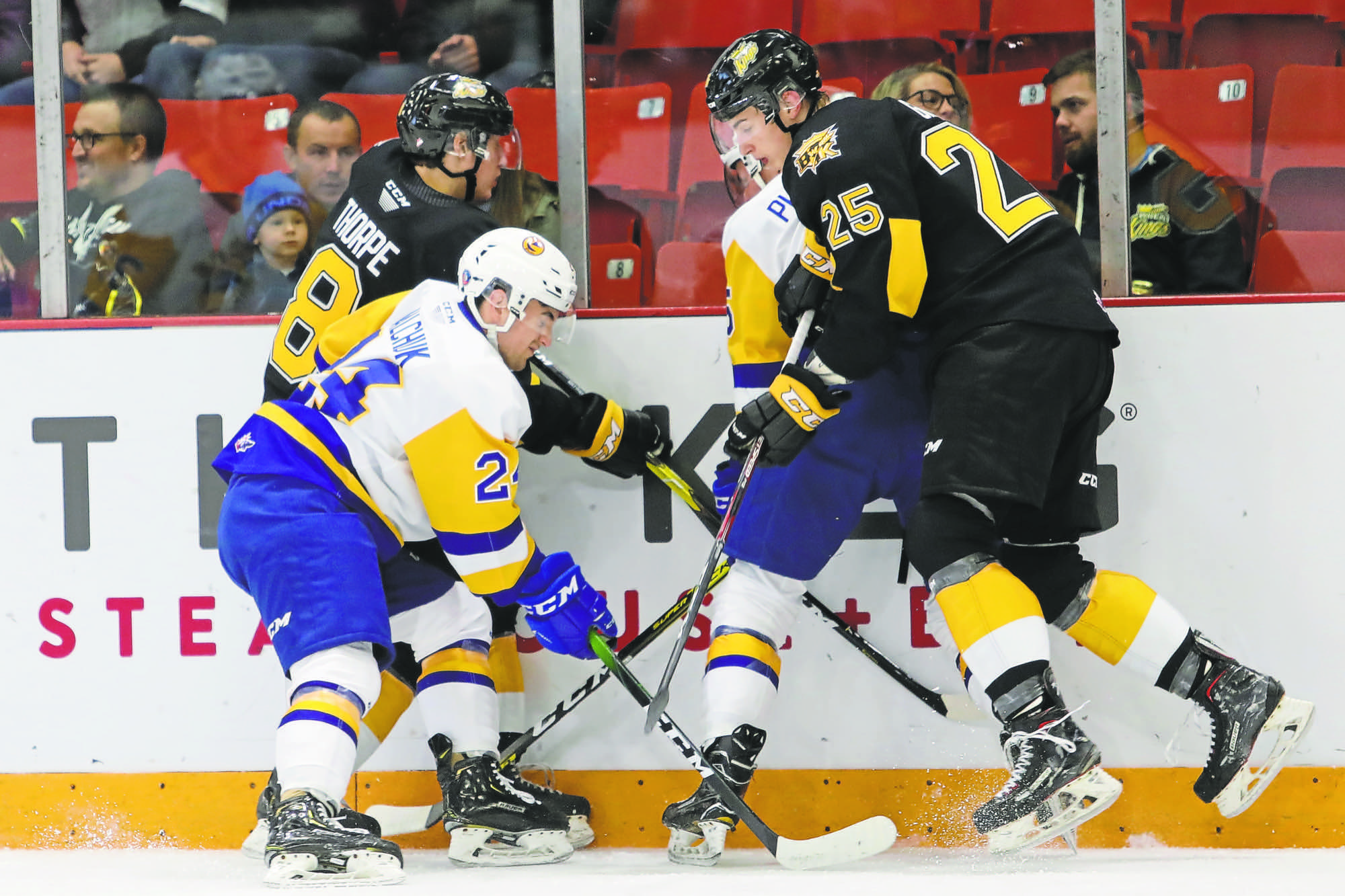 GINNELL POISED TO MAKE BIG STRIDES - Brandon Wheat Kings