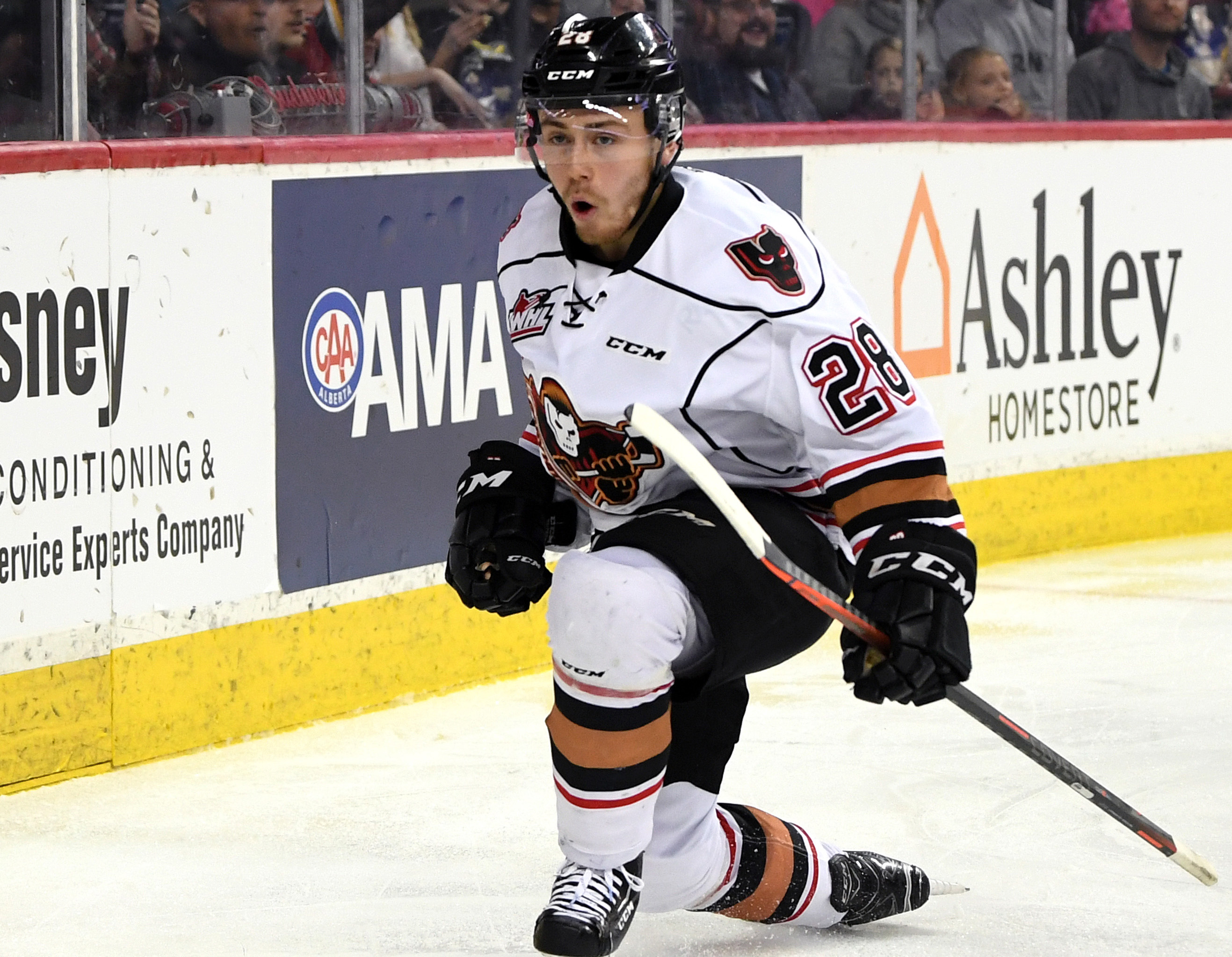 The Magic Man - Calgary Hitmen