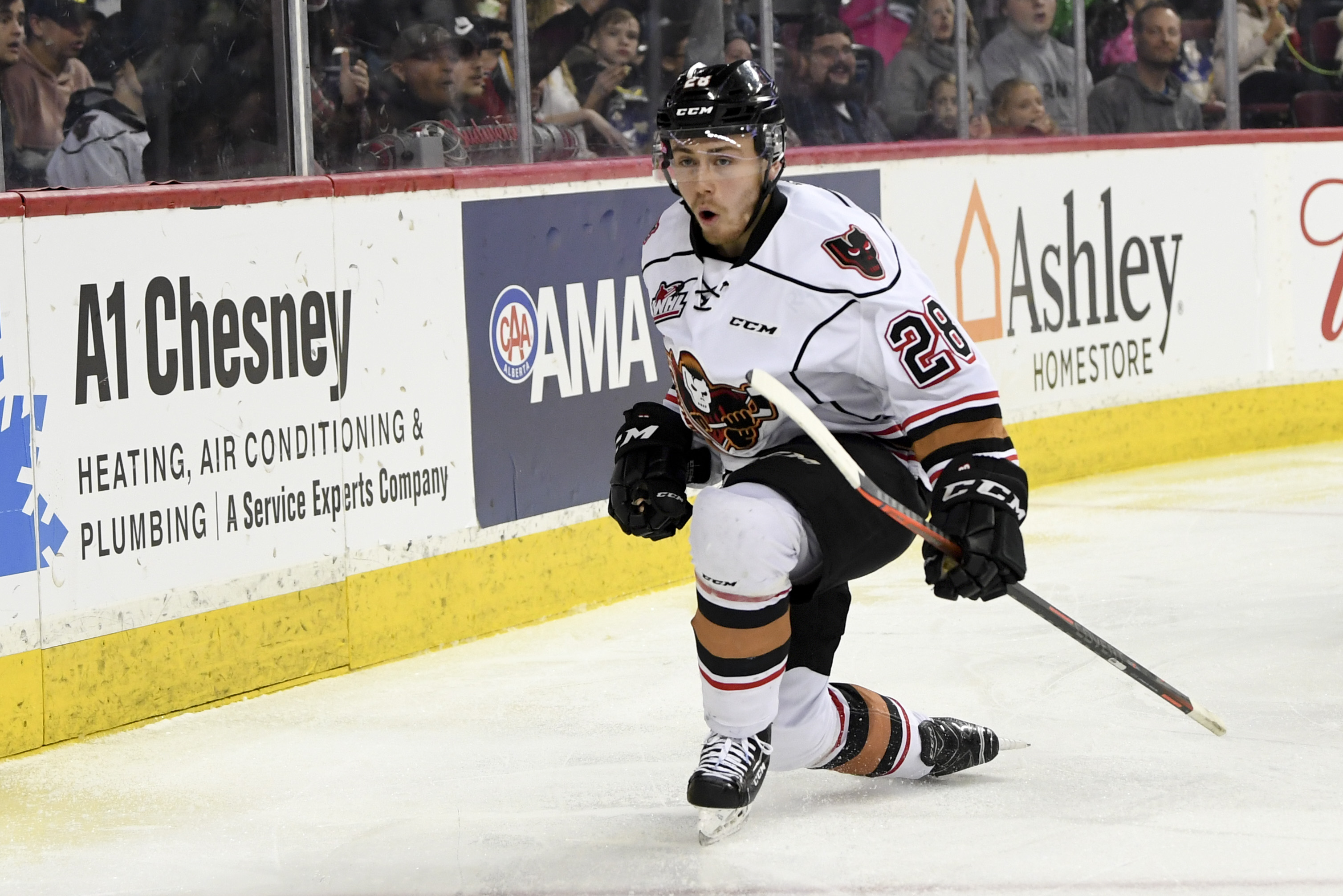 10 Questions With James Malm - Calgary Hitmen