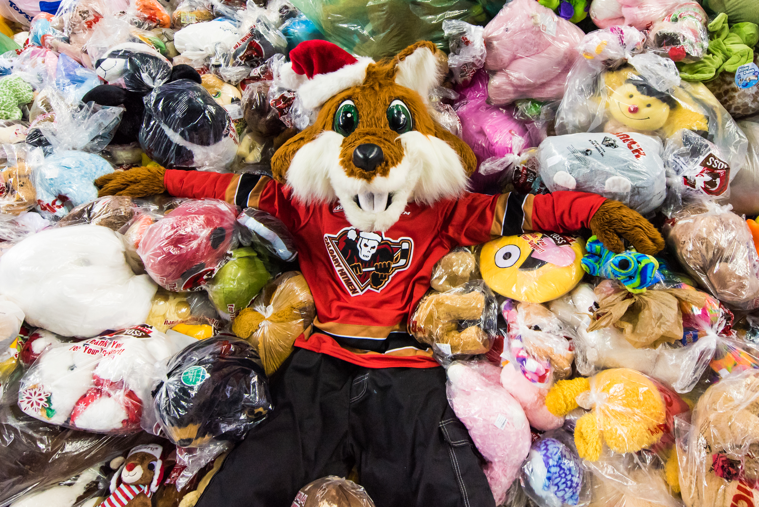 ENMAX Teddy Bear Toss Tickets On Sale Now - Calgary Hitmen