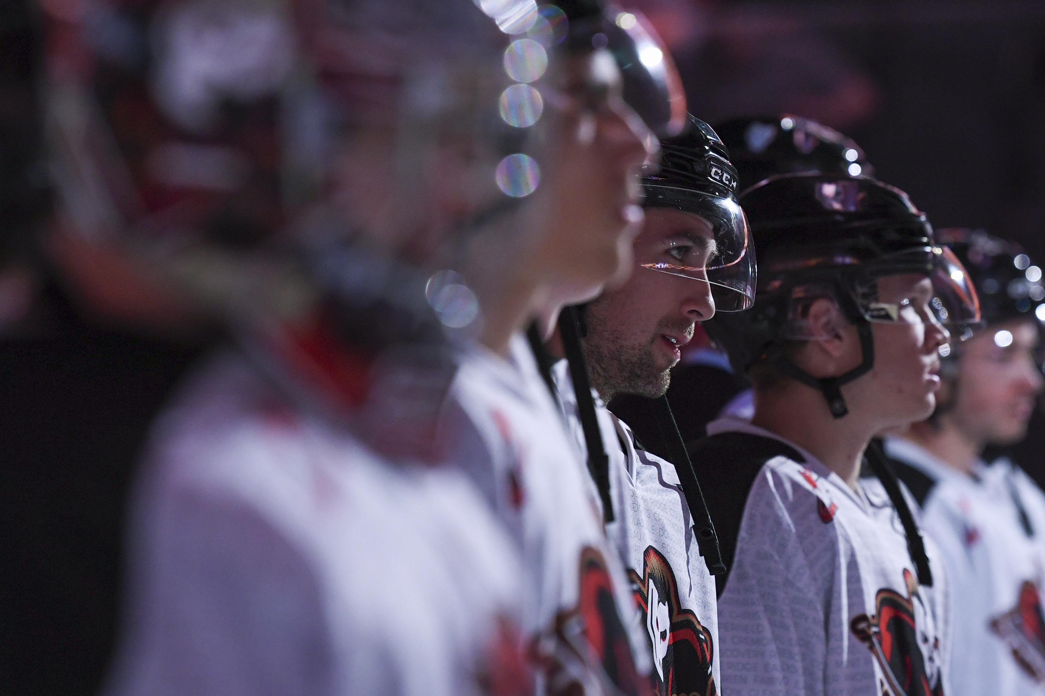 Photo Gallery: Home Opener - Hitmen vs. Hurricanes - Calgary Hitmen