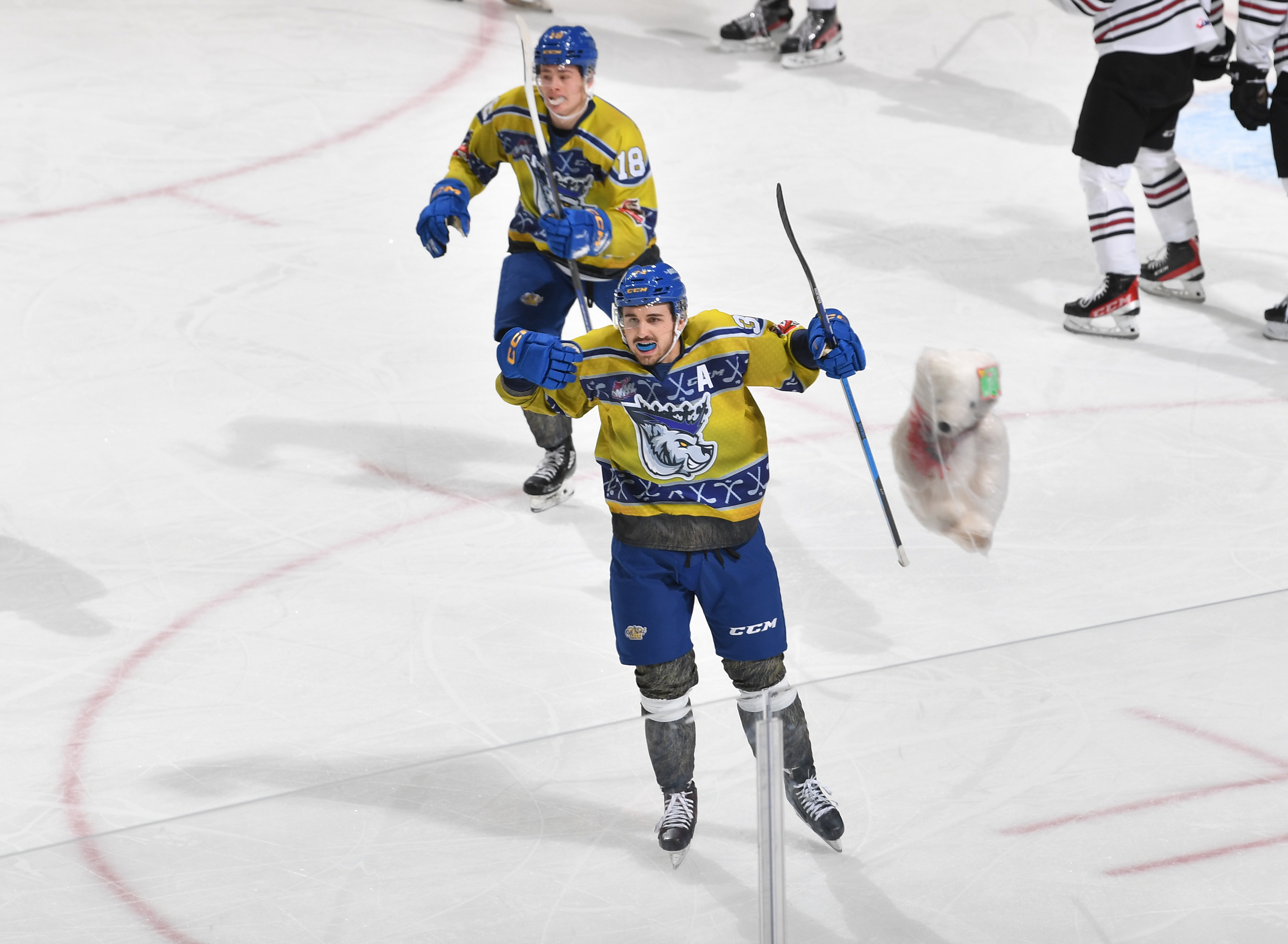 GAME SUMMARY: Boyko Brings the Bears - Edmonton Oil Kings