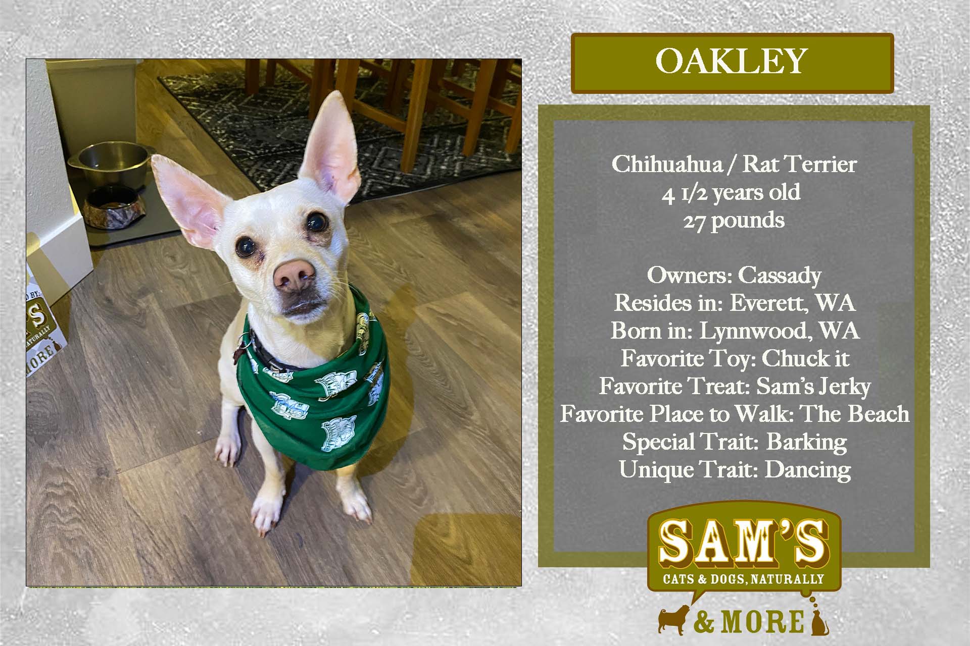 SAM'S GREAT SMALL DOG RACE SERIES - Everett Silvertips