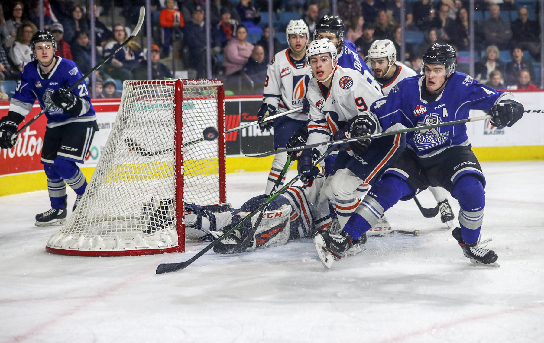 GAME DAY: BLAZERS HOME TO DIVISION RIVAL VICTORIA ROYALS - Kamloops Blazers