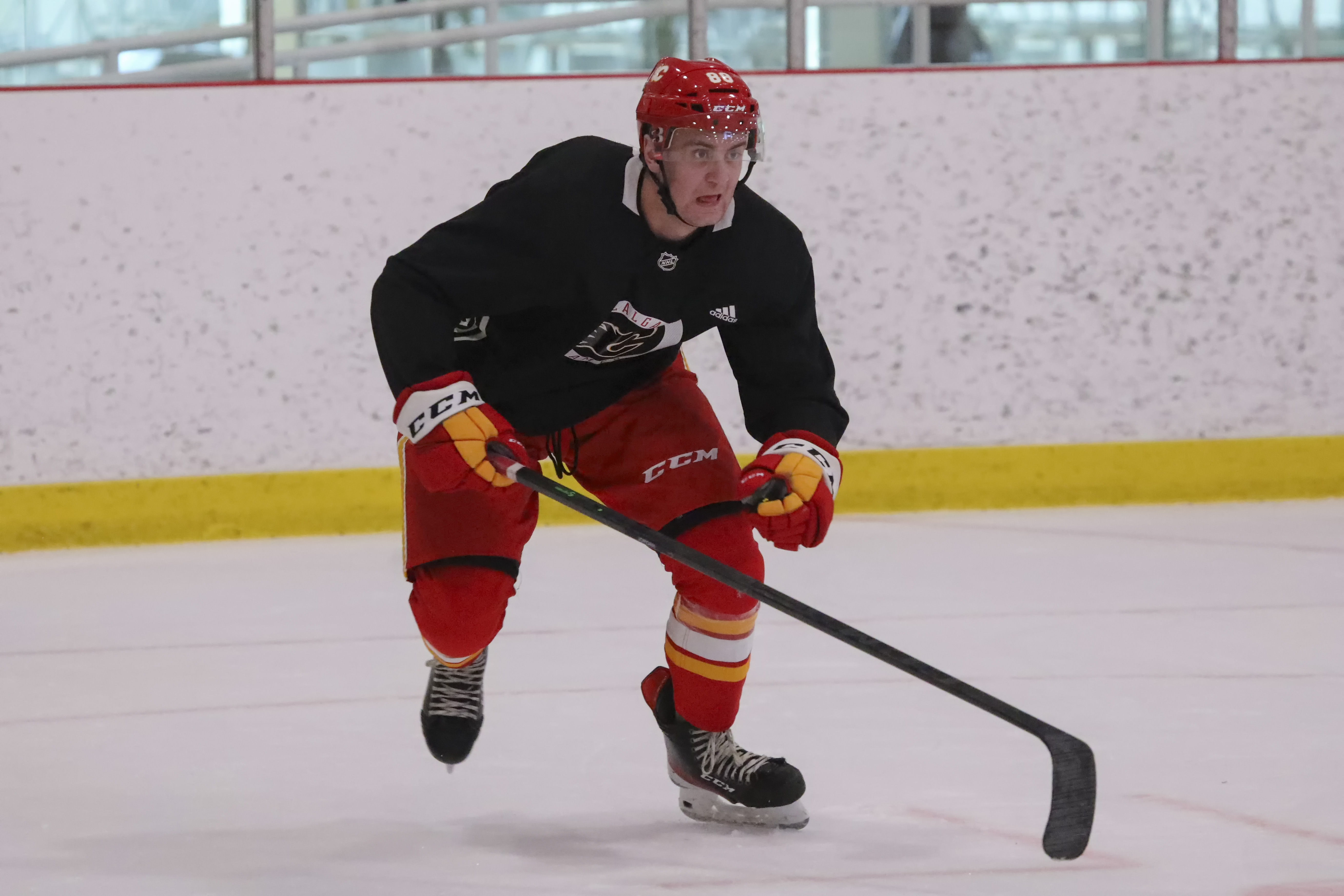 Jordan and Alarie return to Warriors after strong NHL camps - Moose Jaw ...