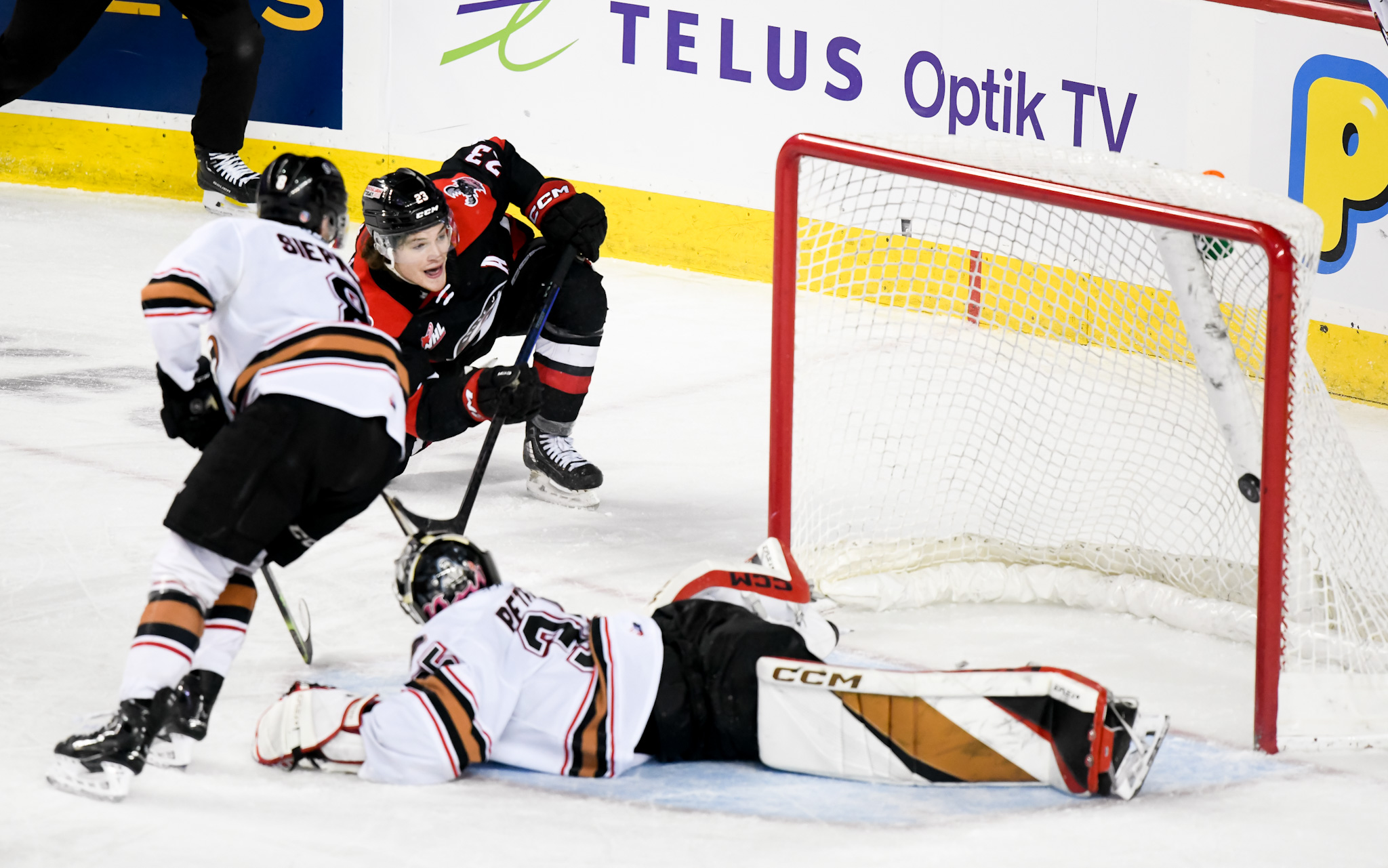 Calvert hit a major milestone over the weekend - Moose Jaw Warriors