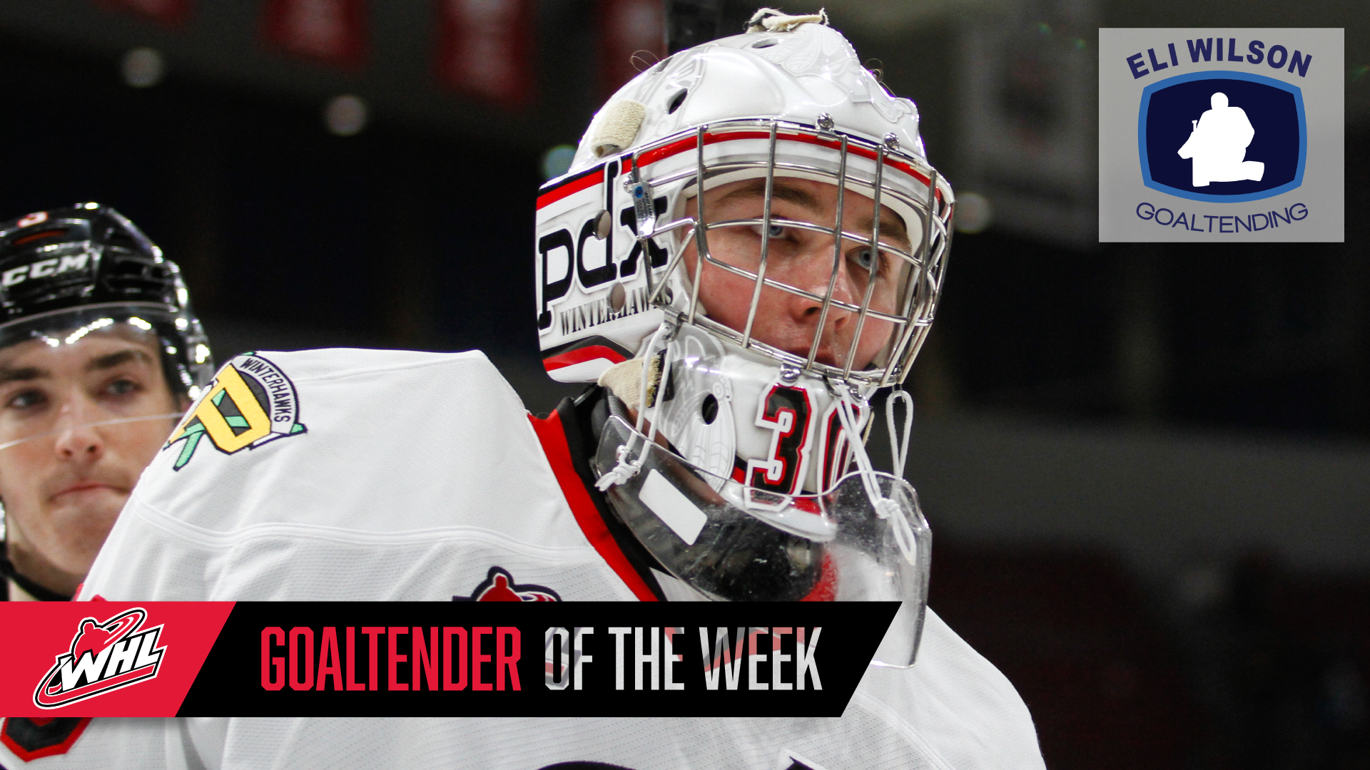 Hofer Named WHL Eli Wilson Goaltender of the Week - Portland Winterhawks