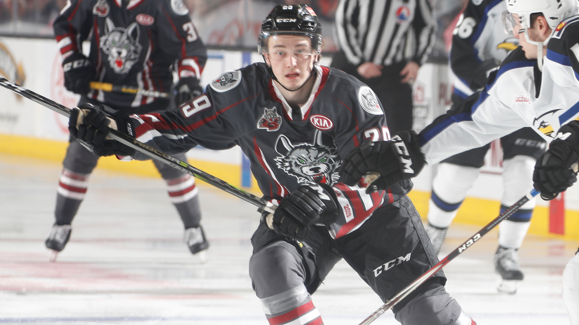 Two Winterhawks Make Professional Debuts - Portland Winterhawks