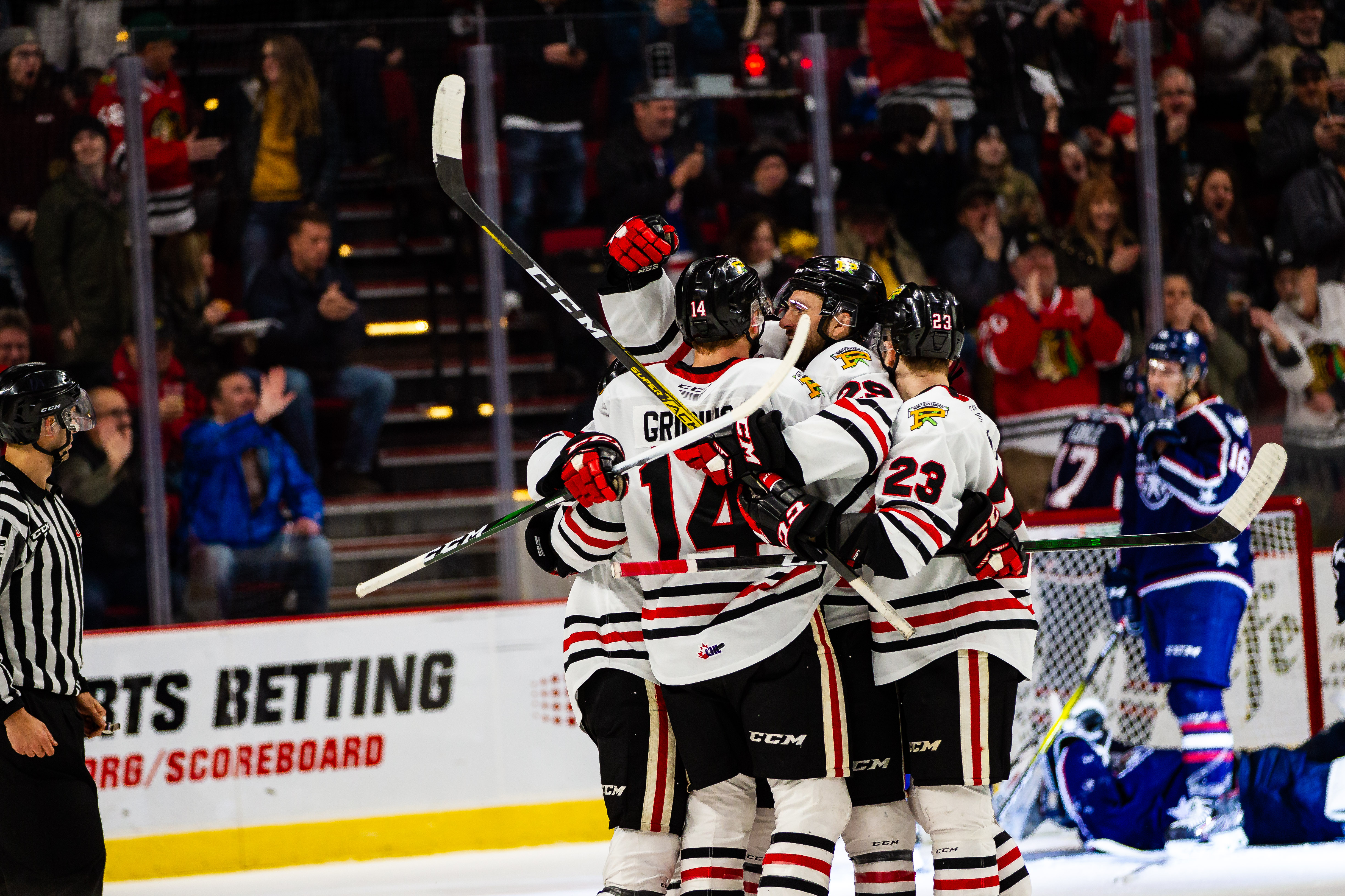 Winterhawks Womp the Americans at Home - Portland Winterhawks