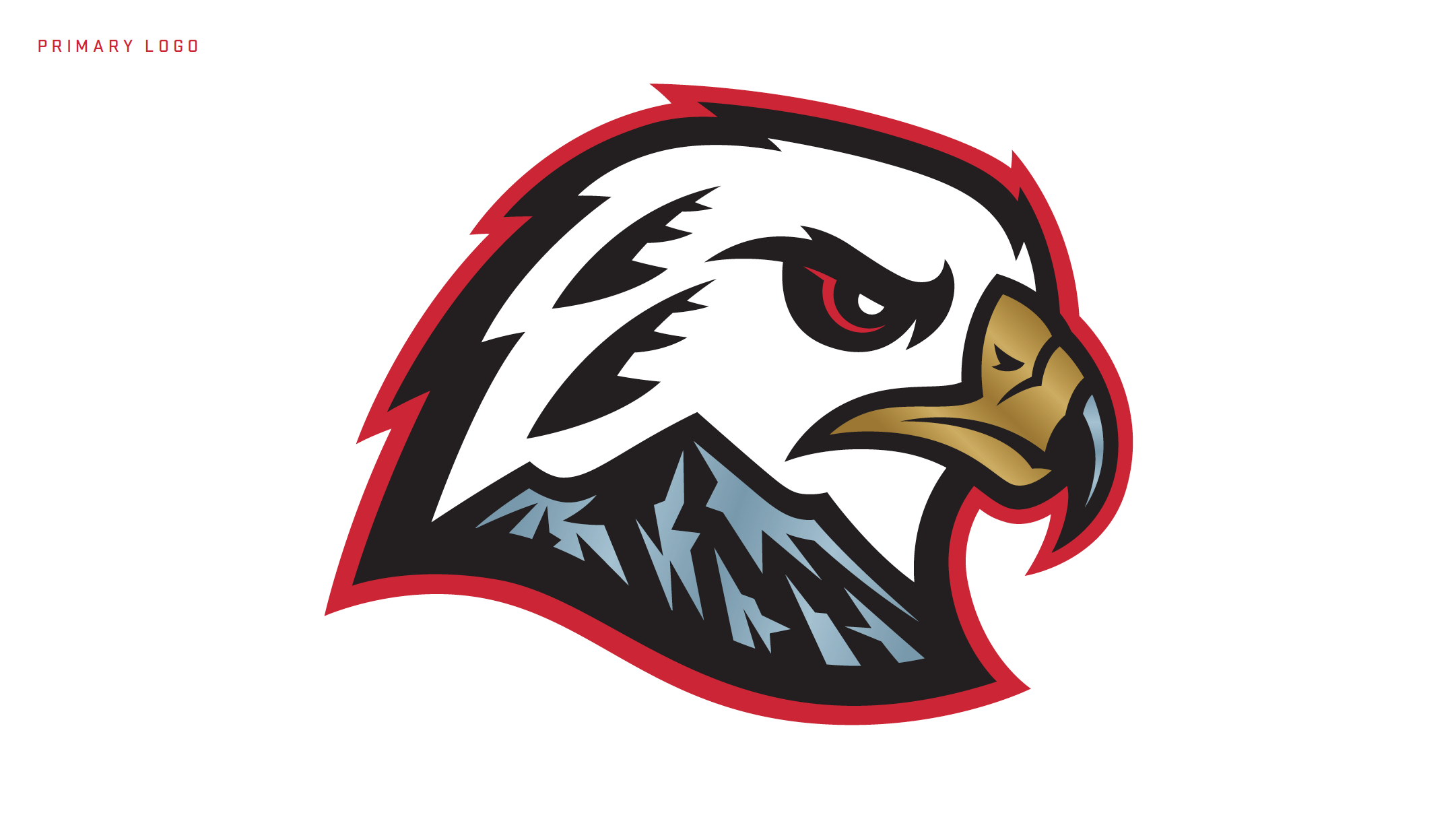 The Identity & Details of the Winterhawks Rebrand - Portland Winterhawks